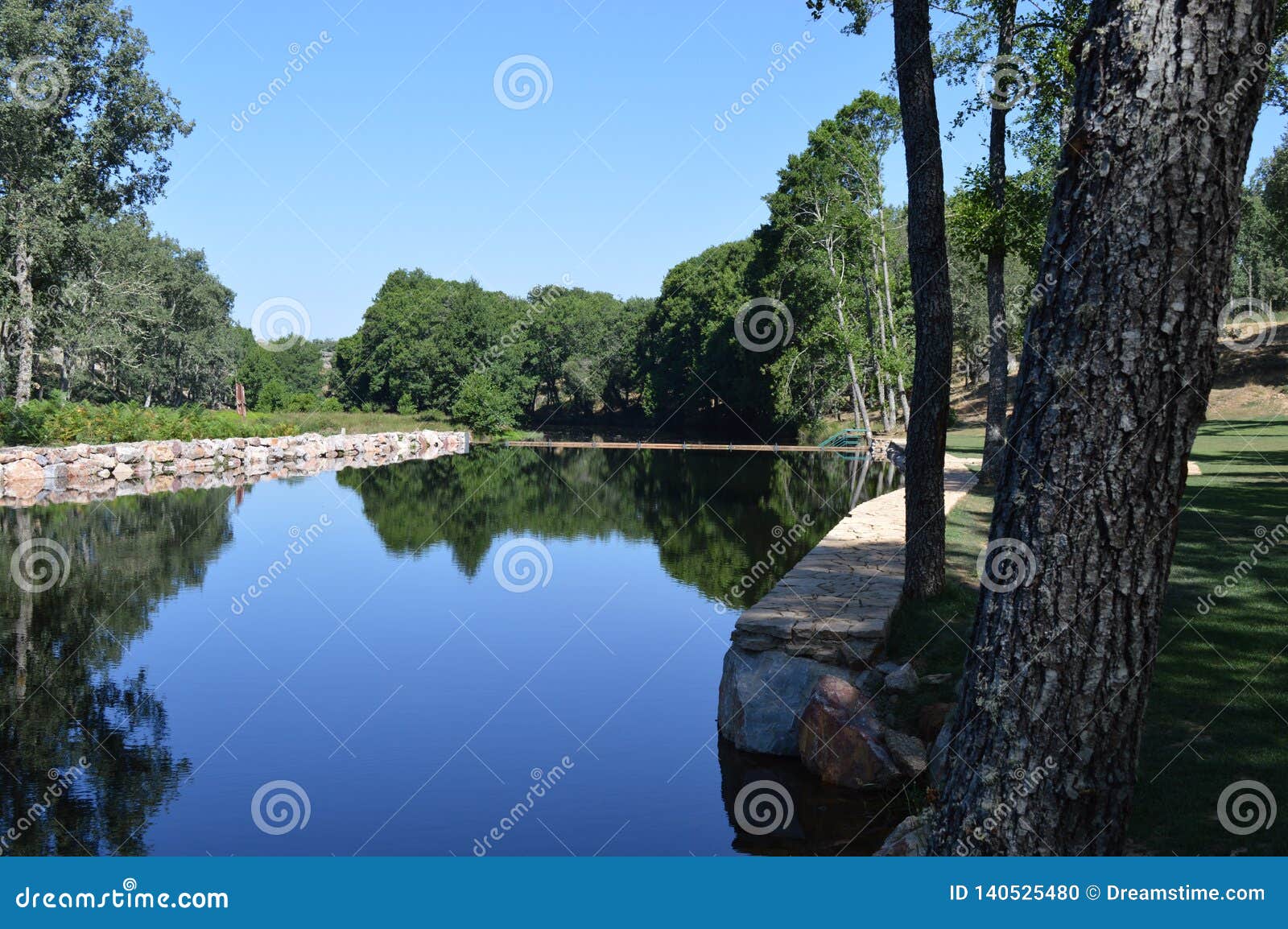 Perfect Reflection Over the River Stock Photo - Image of pool, green ...