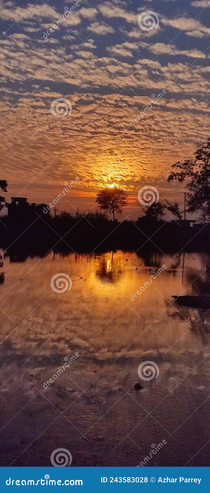 Perfect Reflection of Sunset with Cumulus Clouds through a Pond Stock ...