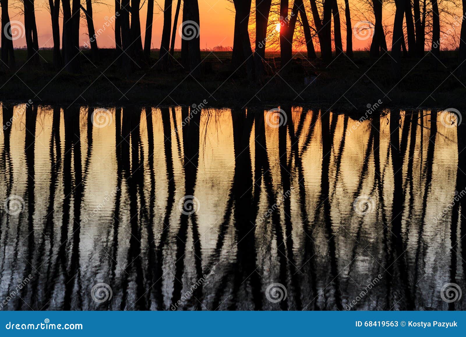 Perfect Reflection of Trees in Water at Sunset Stock Image - Image of ...