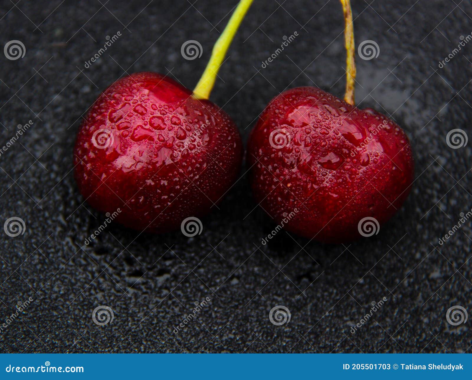 Perfect Ripen Cherries Against Black Background On Black Background ...