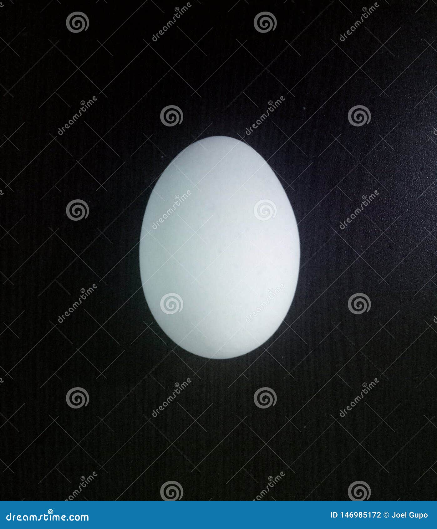Perfect shaped egg stock photo. Image of perfect, chicken - 146985172