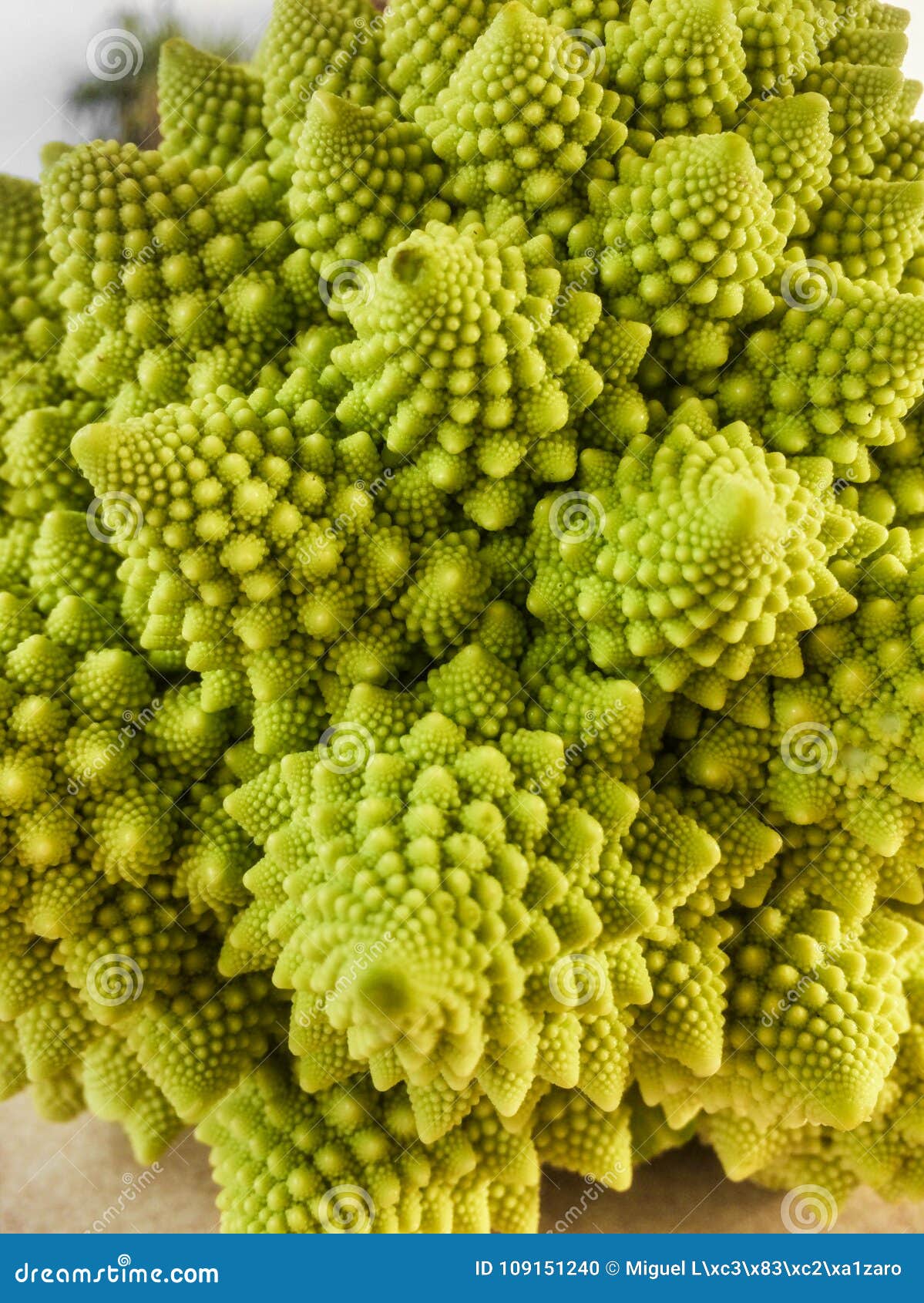 Perfect Spiral, Broccoli Romanesco Stock Photo - Image of diet, bright ...