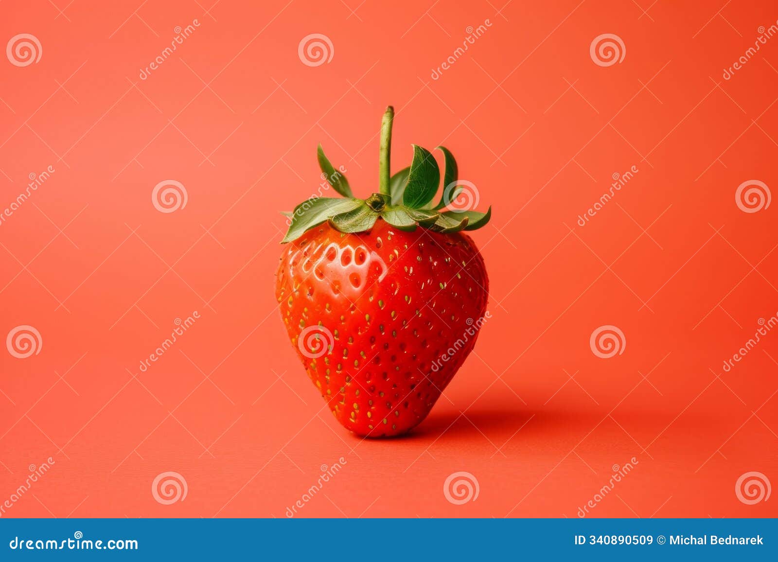 Perfect Strawberry on Solid Red Background Minimalism Stock Image ...