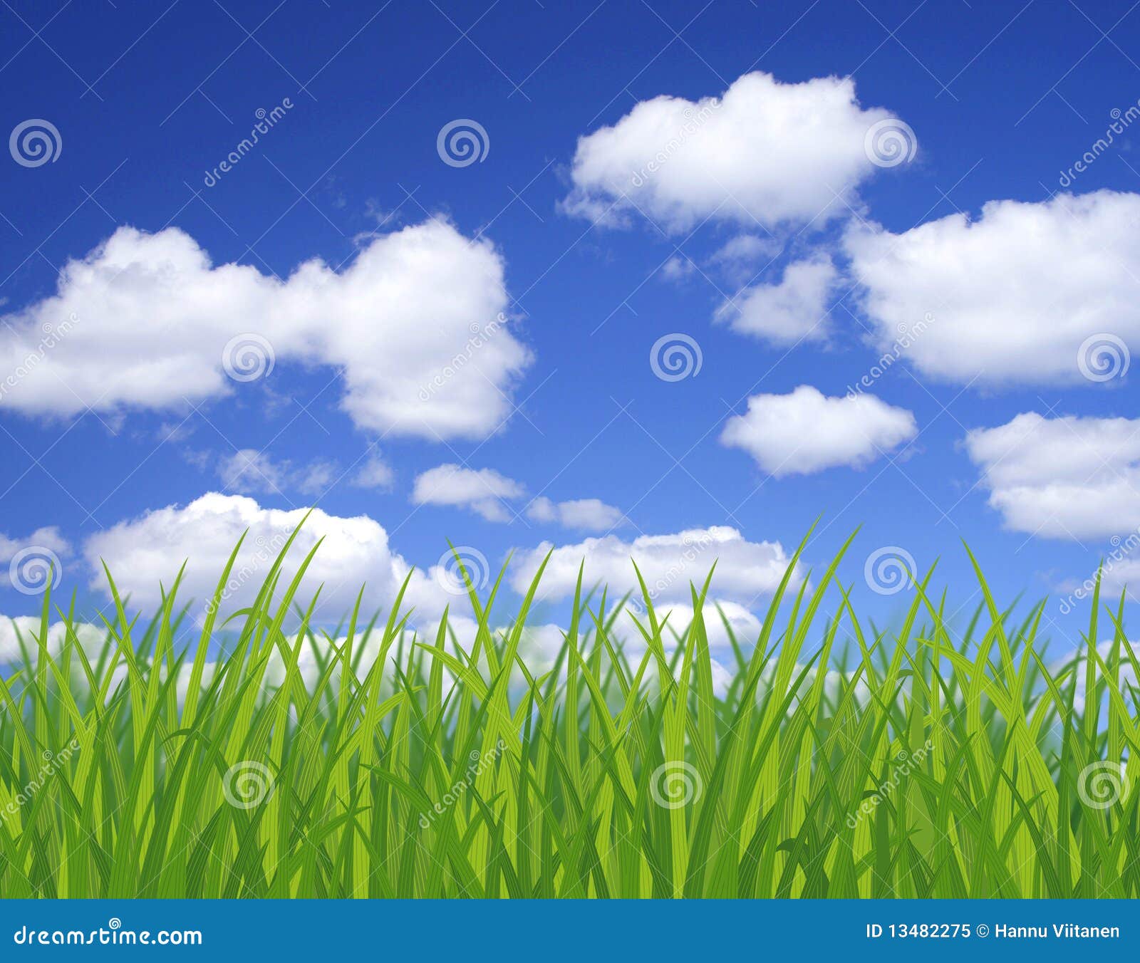 Perfect summer day stock image. Image of spring, grass - 13482275