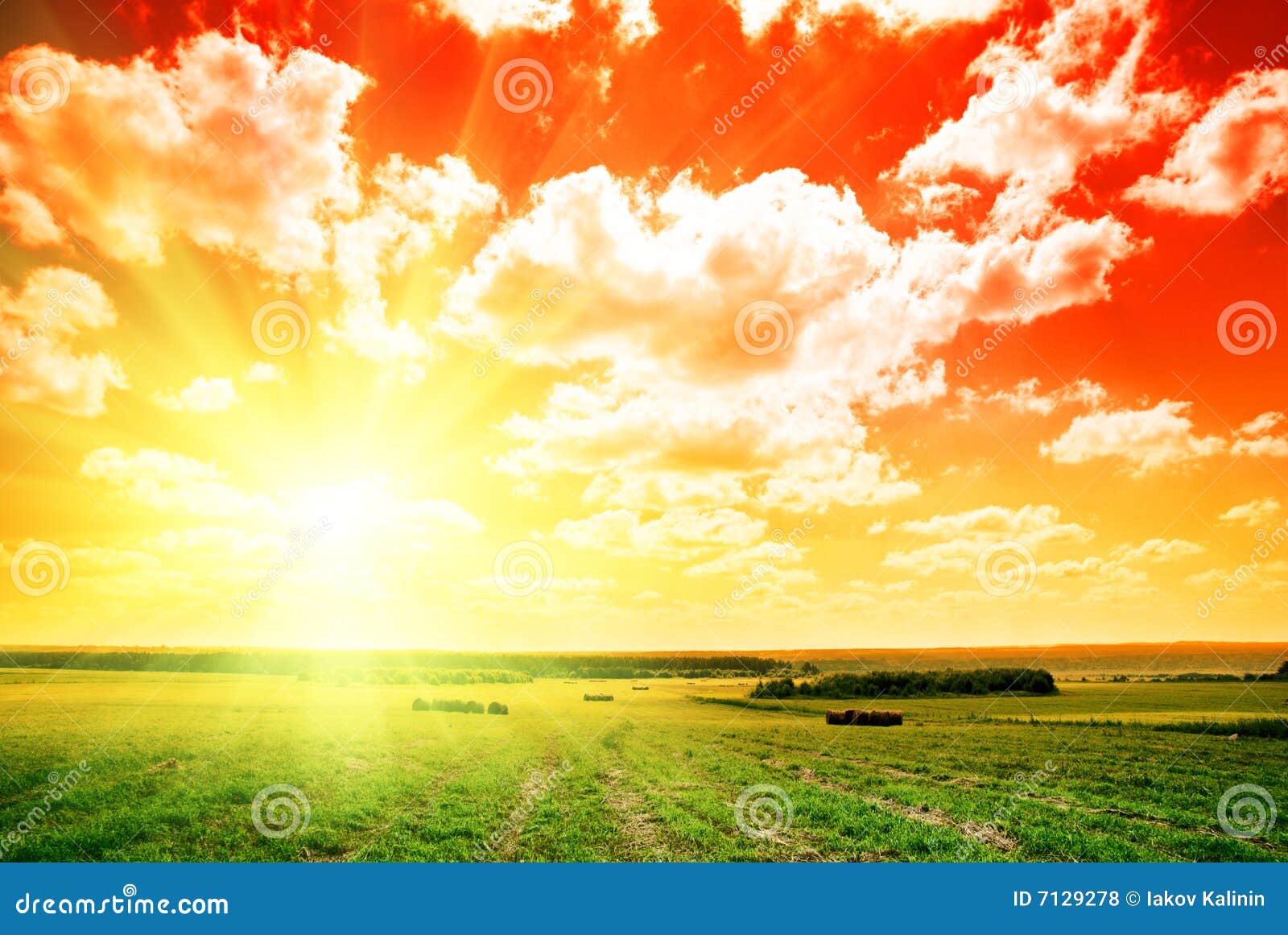 Perfect summer day stock photo. Image of harvest, rural - 7129278
