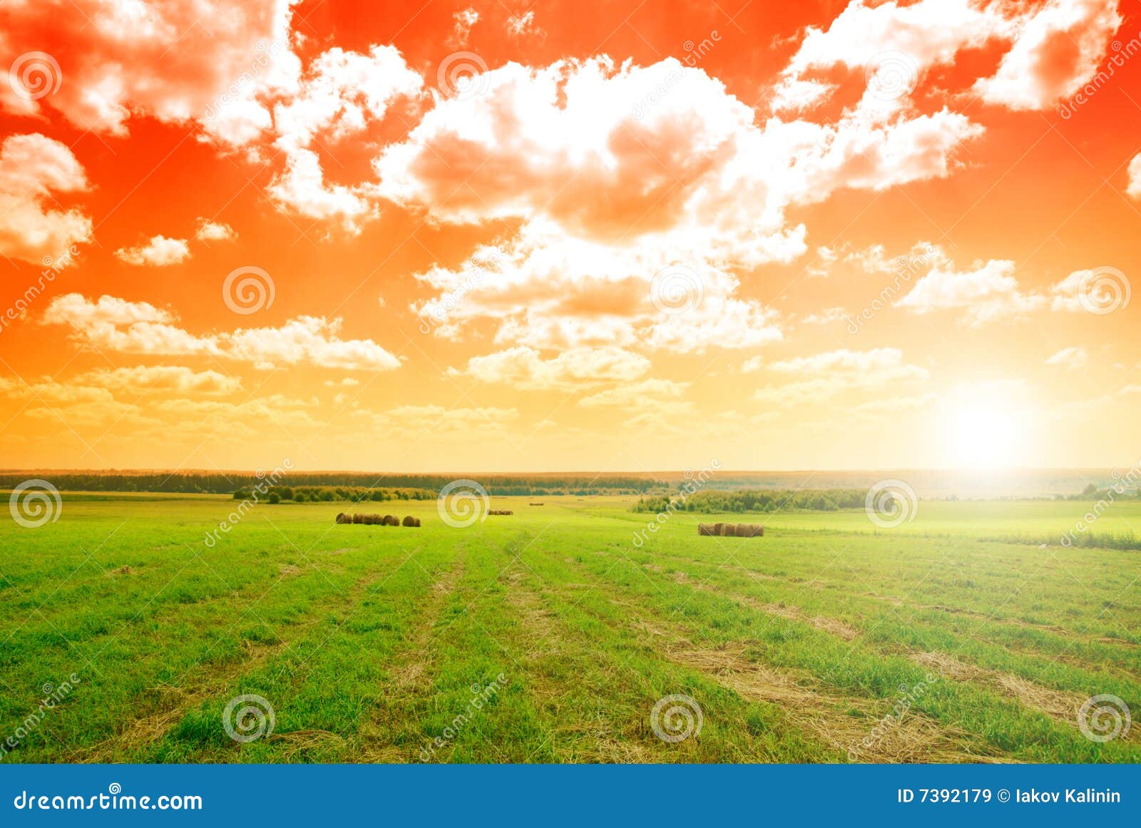 Perfect summer day stock image. Image of roll, blue, farming - 7392179