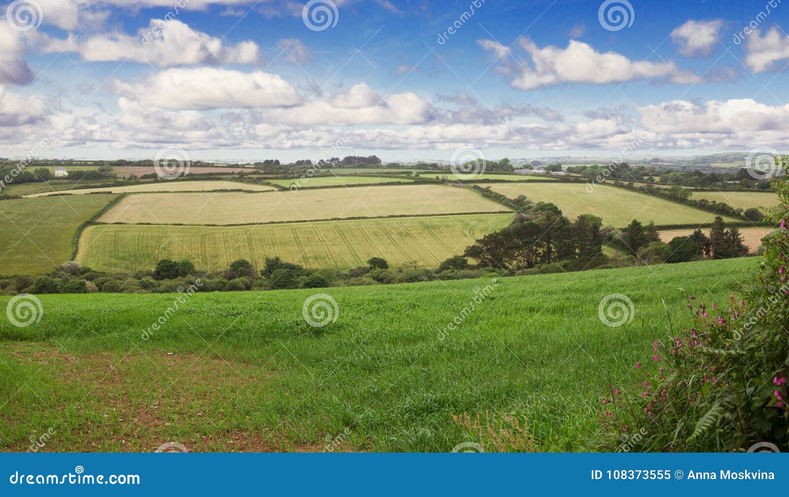 Perfect Sunny Spring English Landscape Stock Image - Image of ...