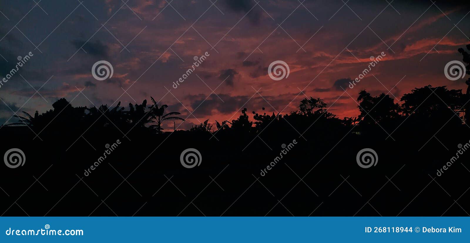 Perfect sunset at backyard stock photo. Image of home - 268118944
