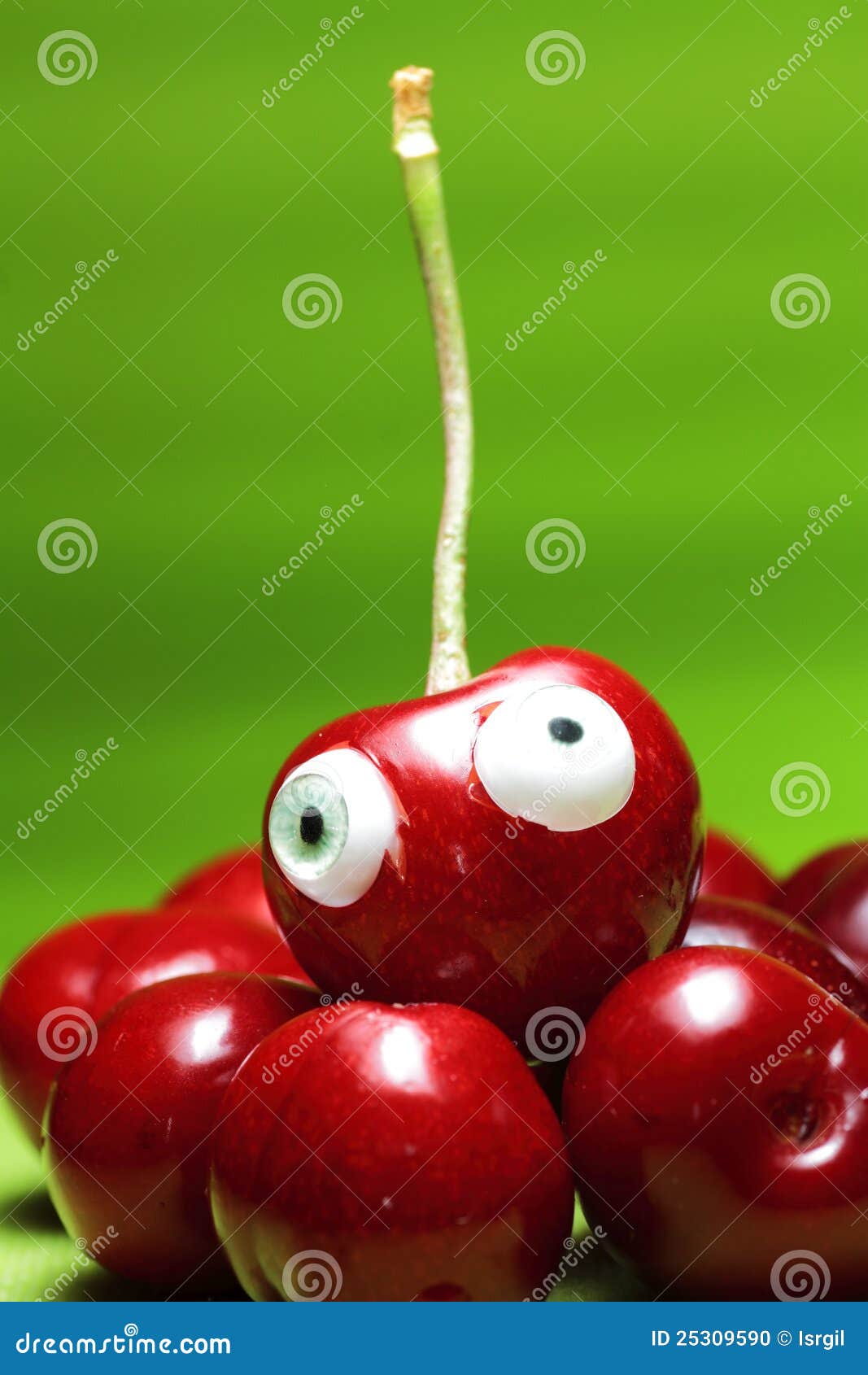 Perfect sweet cherries stock photo. Image of berry, delicious - 25309590