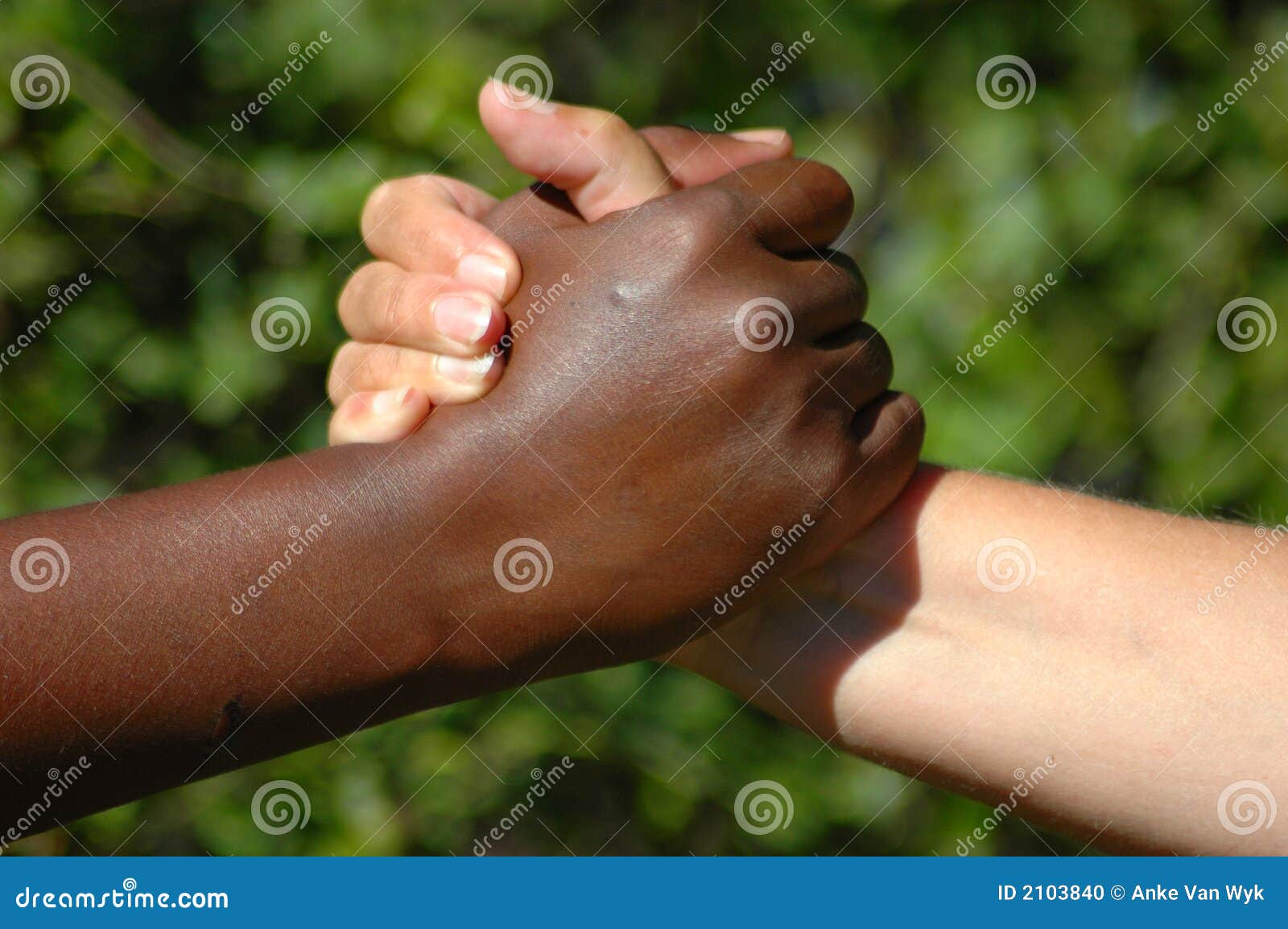 Perfect team hands stock photo. Image of compromises, compromise - 2103840