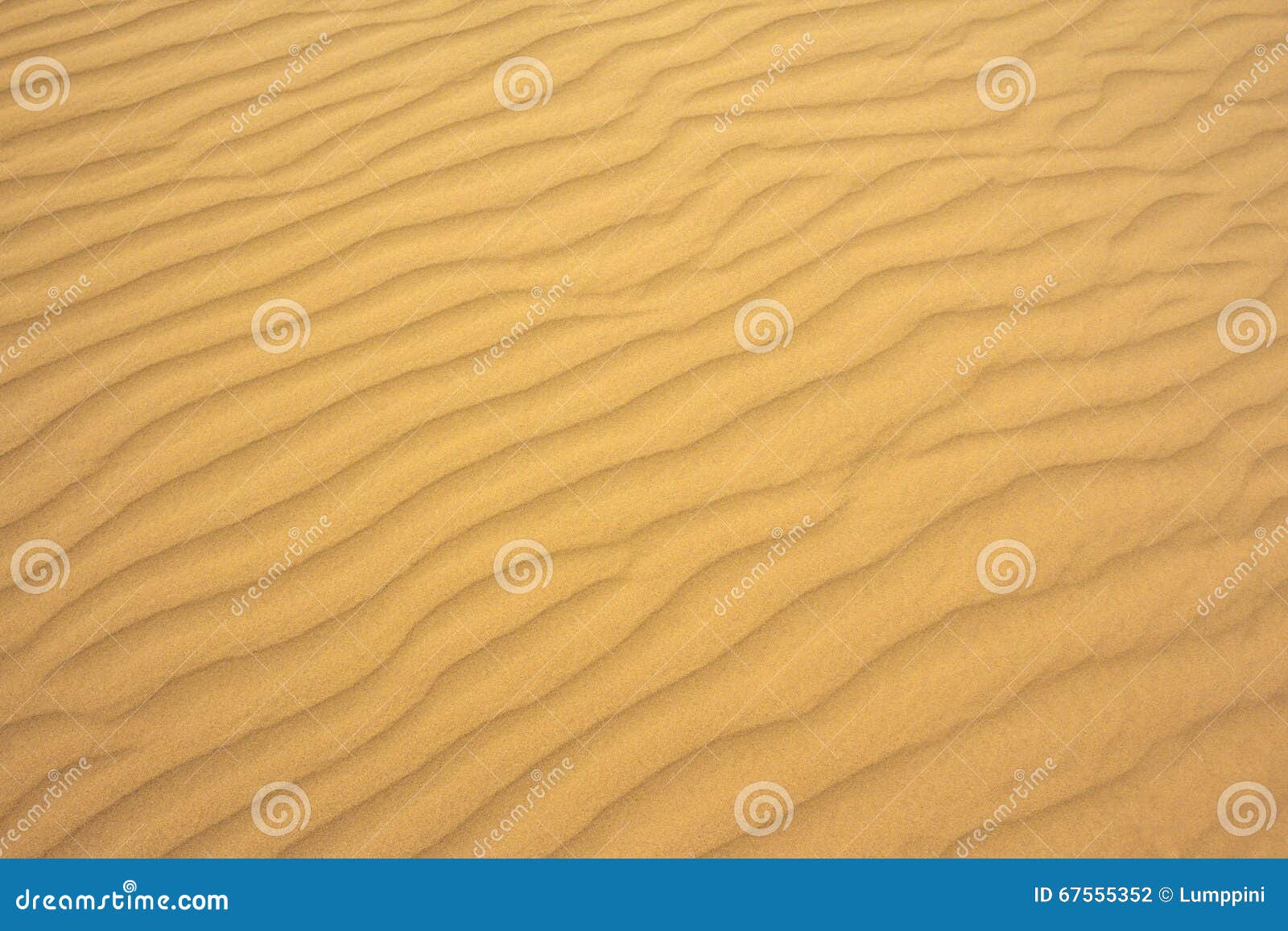 Perfect Texture of Sand Waves. Pattern of Sand on the Beach . Stock ...