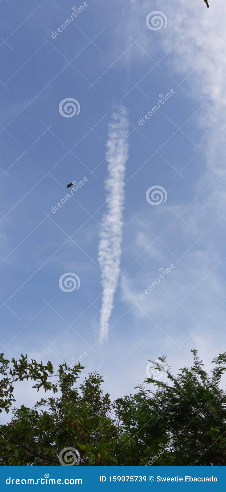 Perfect Timing Sky Clouds and Bird Stock Image - Image of perfect, bird ...