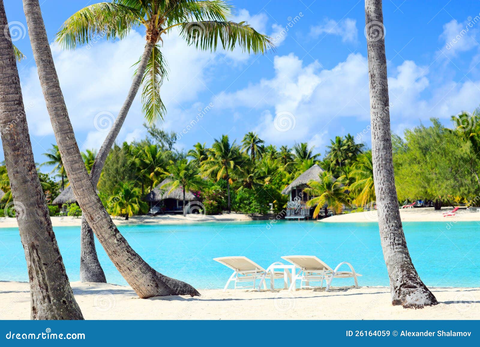 Perfect tropical beach stock image. Image of paradise - 26164059
