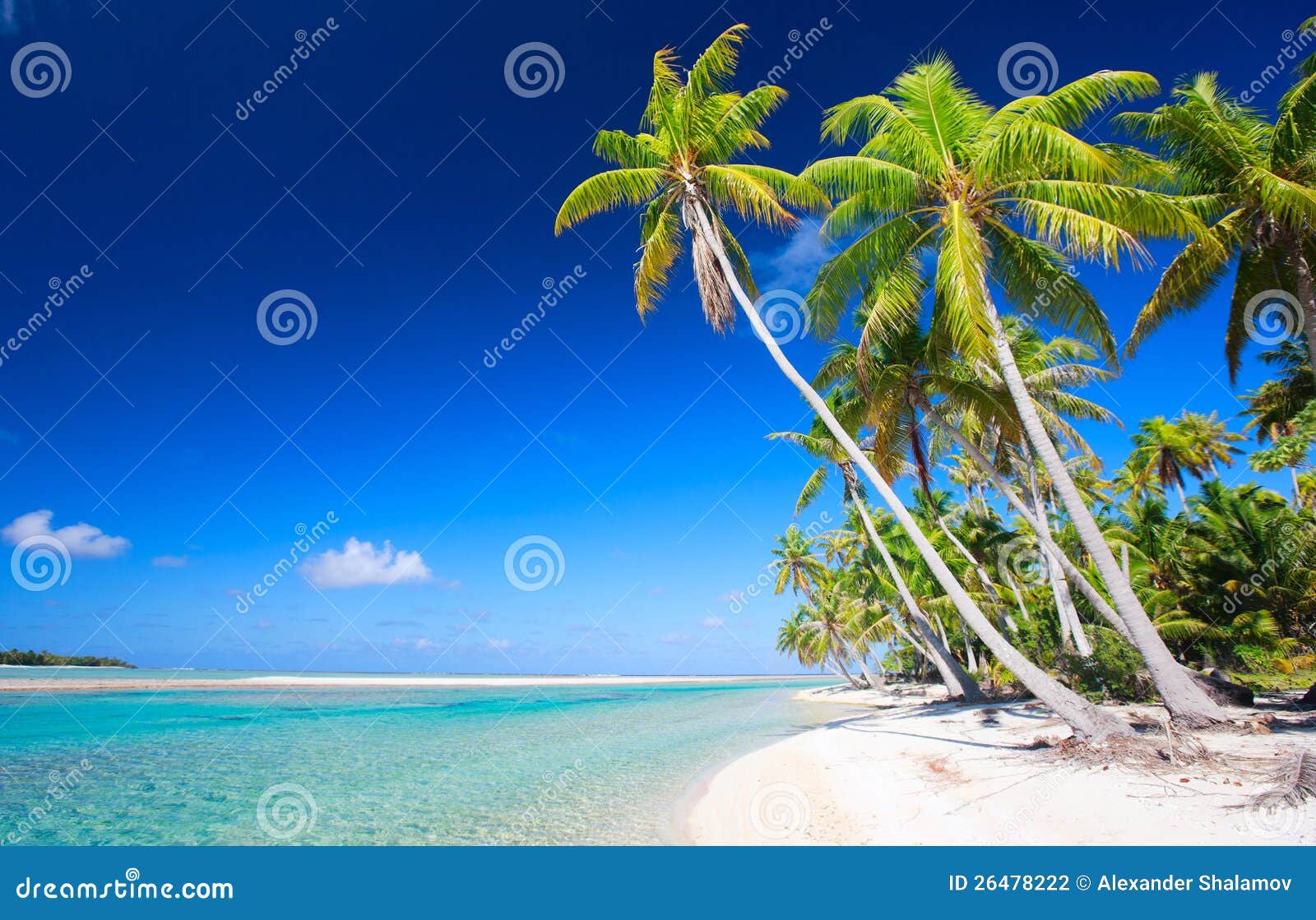 Perfect tropical beach stock photo. Image of landscape - 26478222