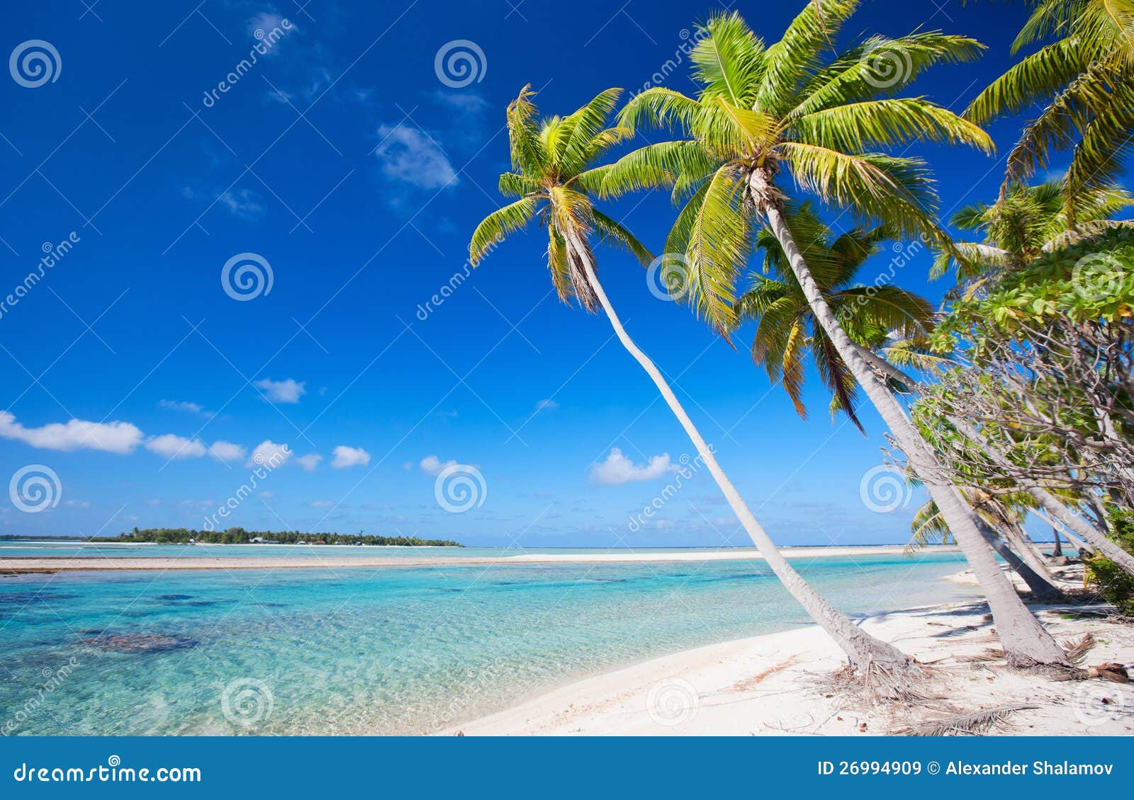 Perfect tropical beach stock image. Image of palm, seascape - 26994909