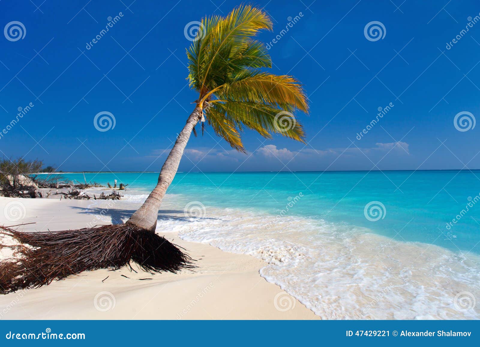 Perfect tropical beach stock image. Image of nature, island - 47429221