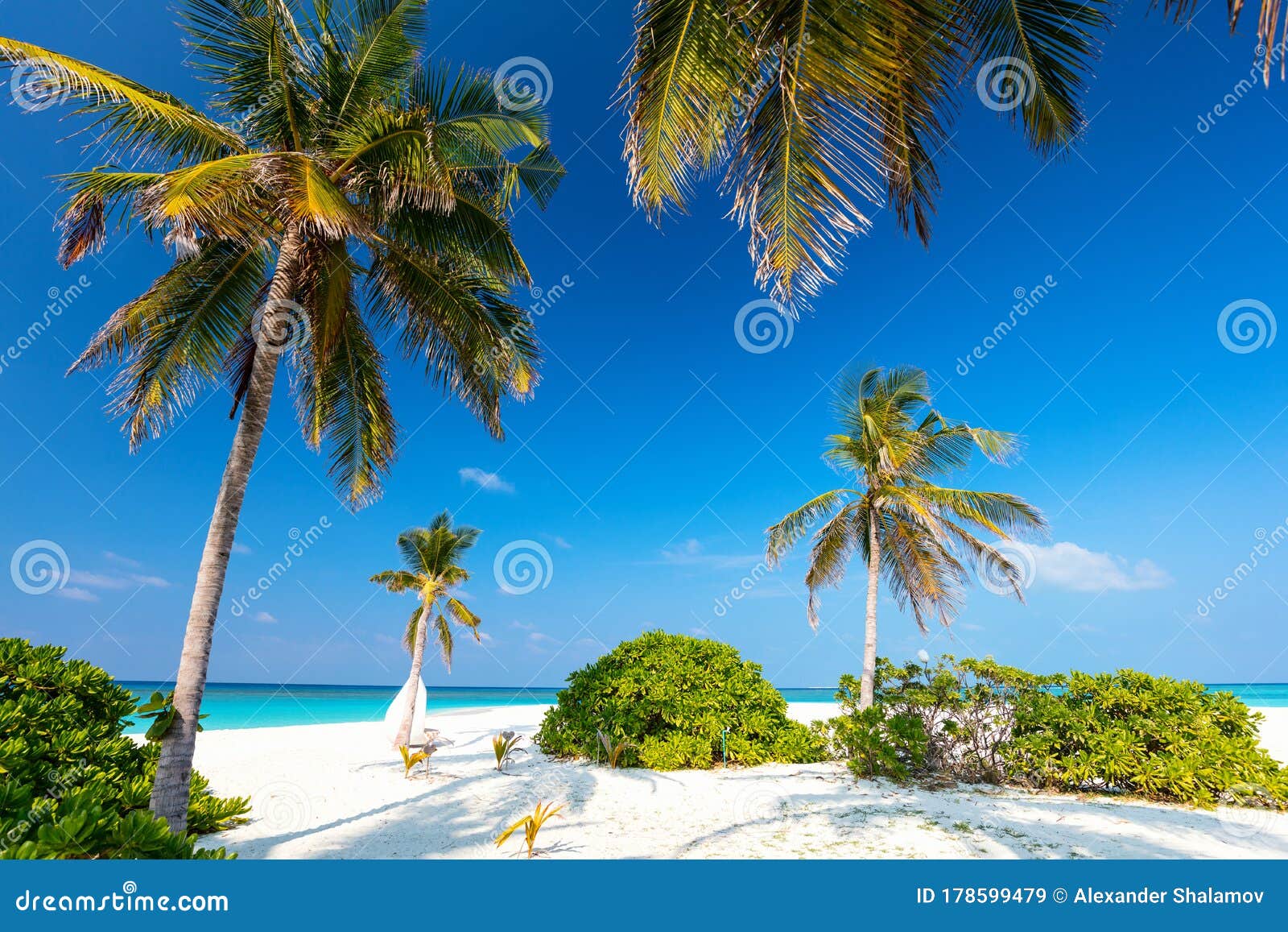 Perfect tropical beach stock image. Image of coastline - 178599479