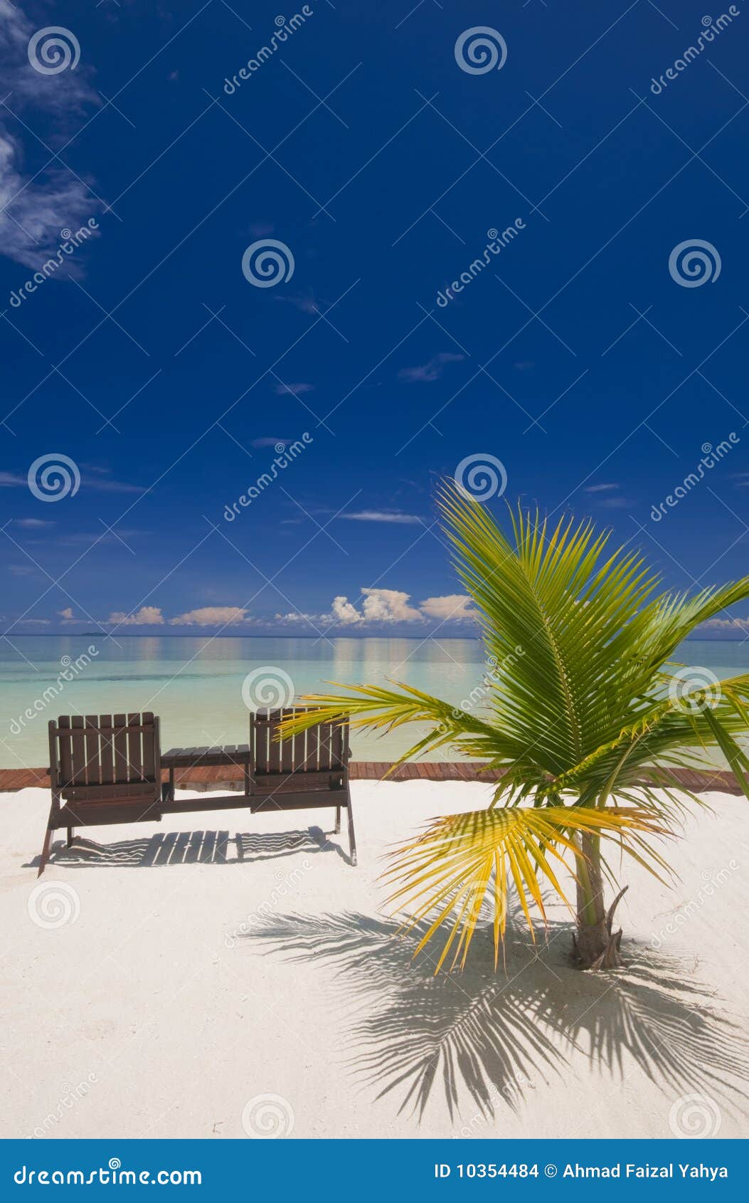 Perfect Tropical Island Relaxation. Stock Photo - Image of coconut ...