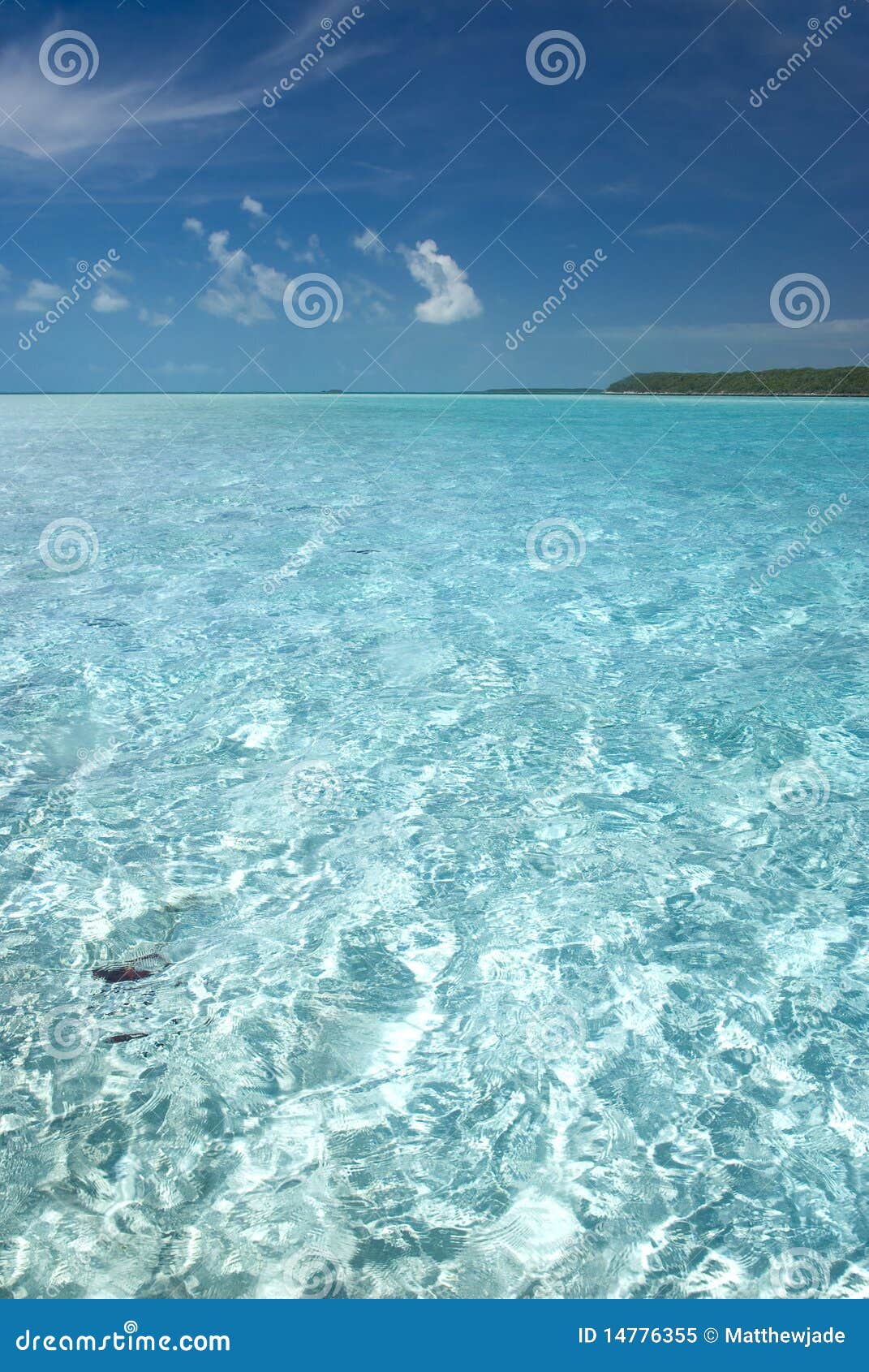 Perfect Tropical Water stock image. Image of caribbean - 14776355