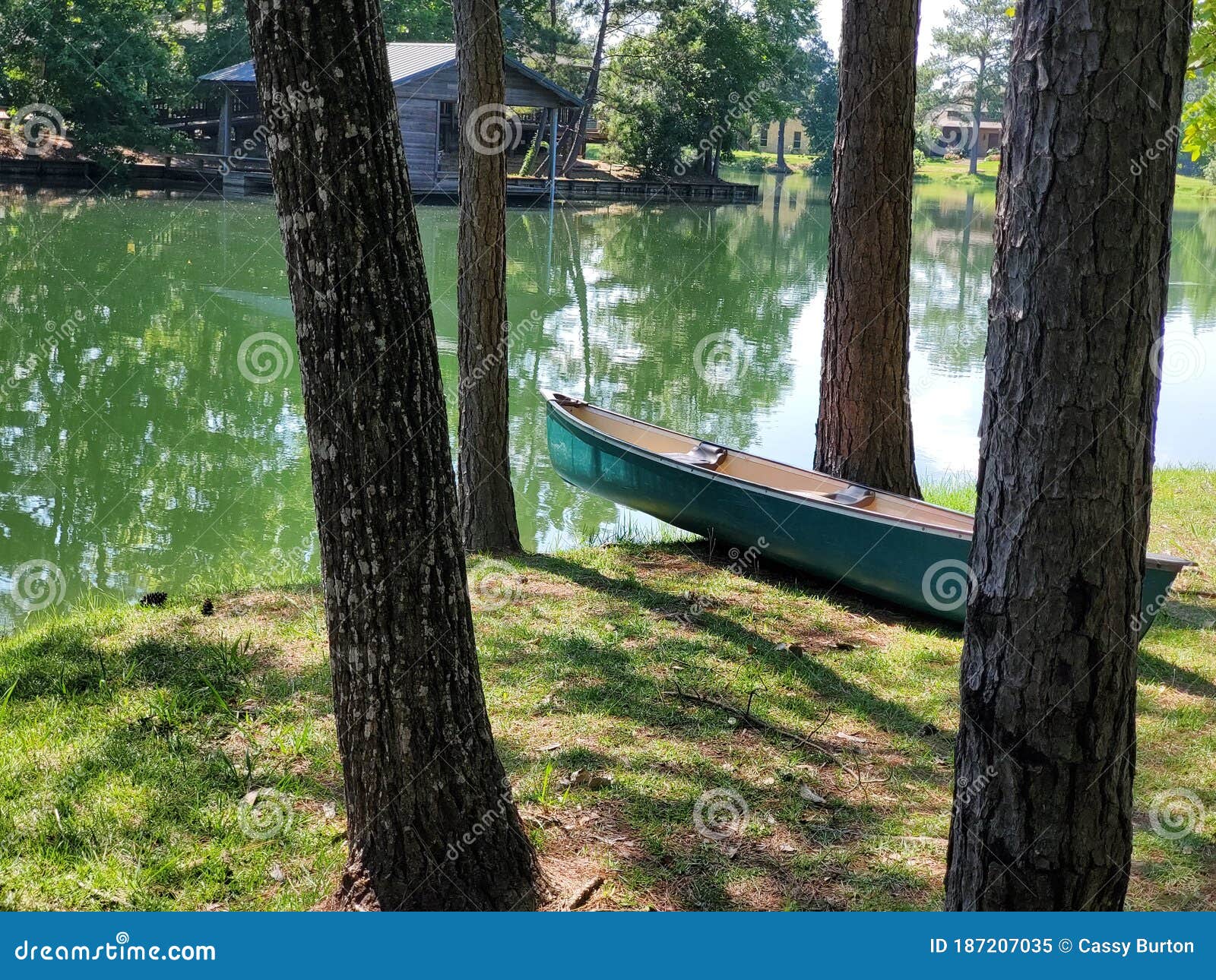 The Perfect View stock image. Image of leaf, green, forest - 187207035