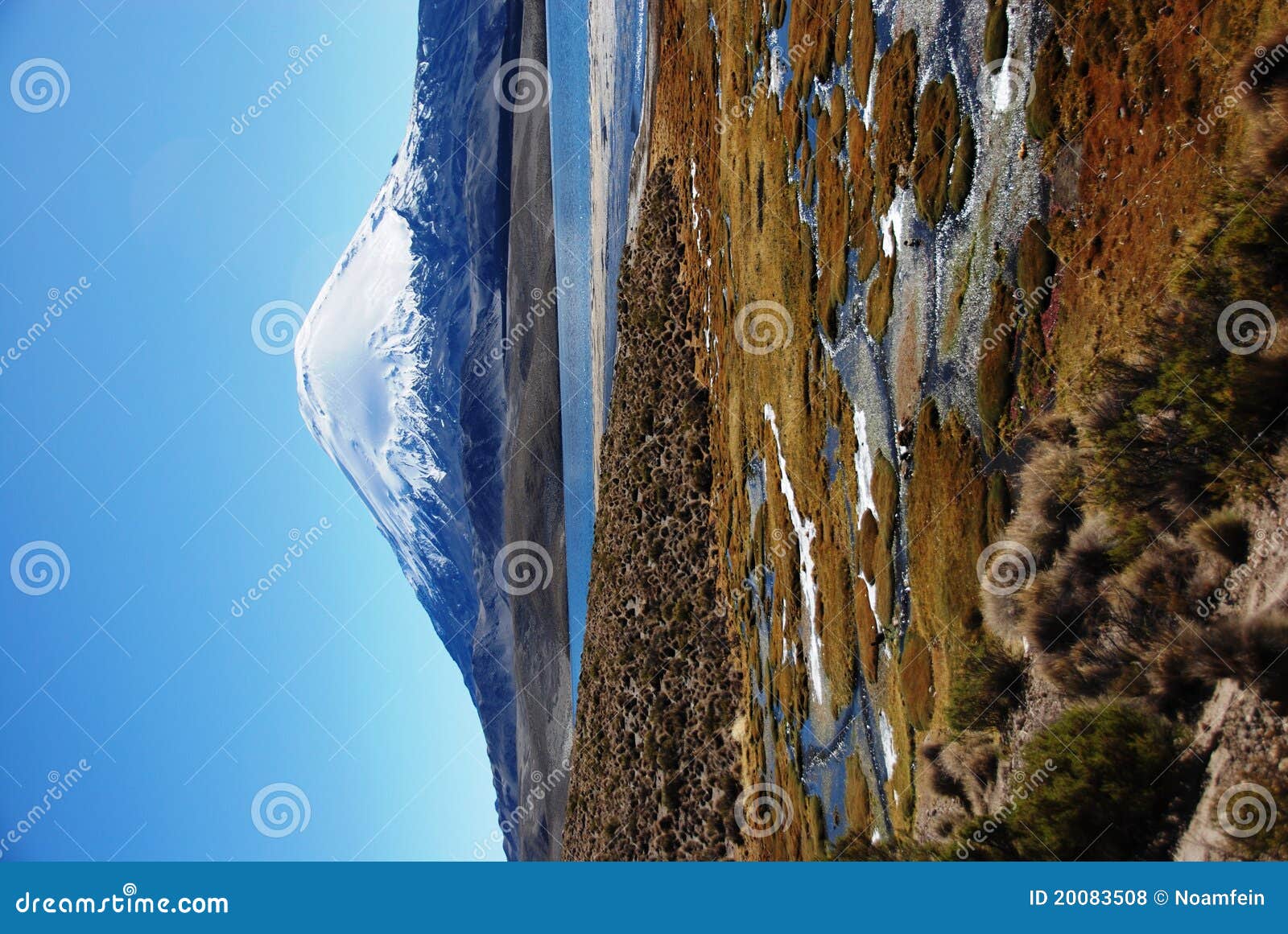 Perfect Volcano Covered with Snow Stock Photo - Image of chungara ...