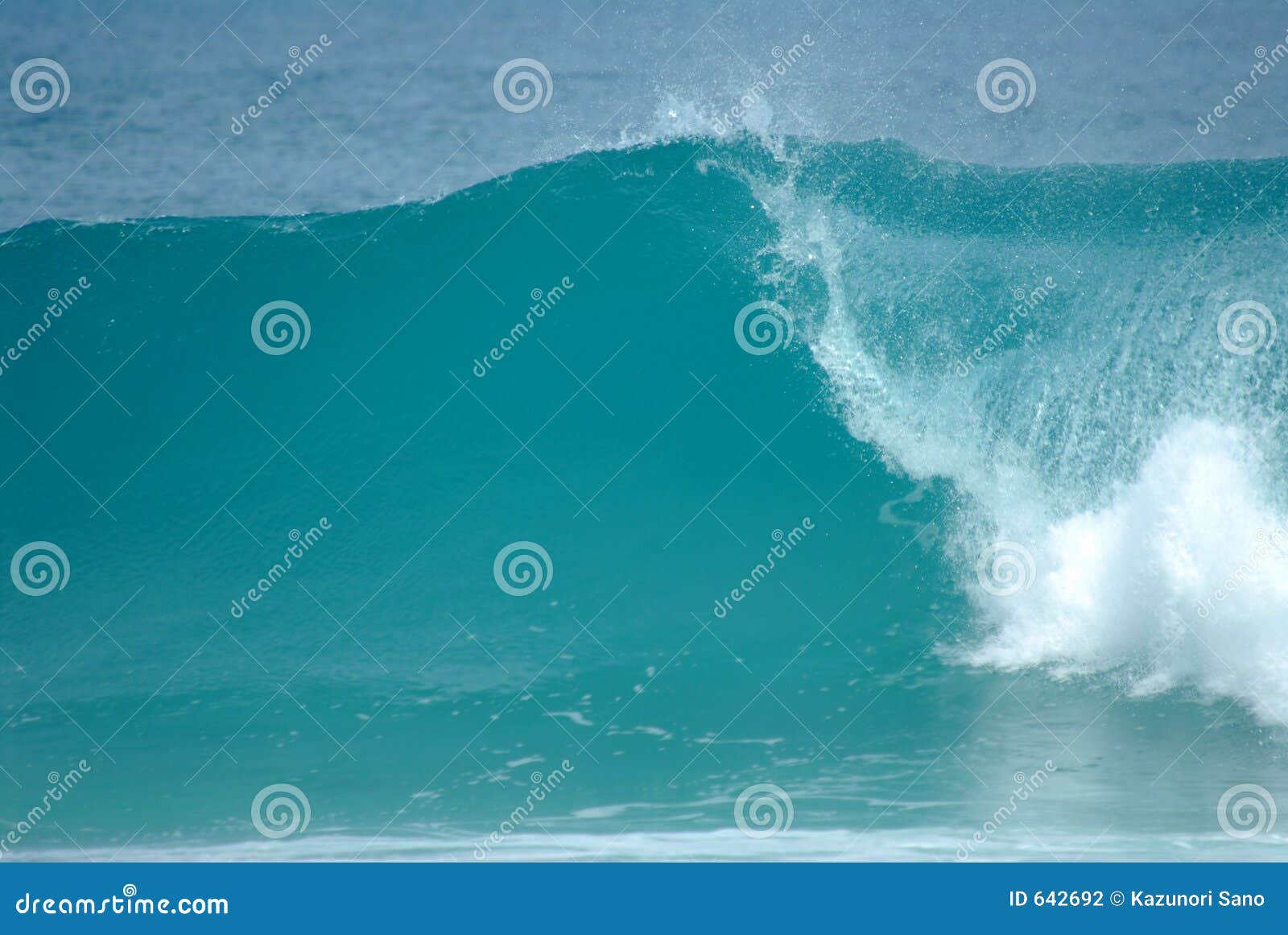Perfect wave stock photo. Image of hawaii, ocean, beach - 642692