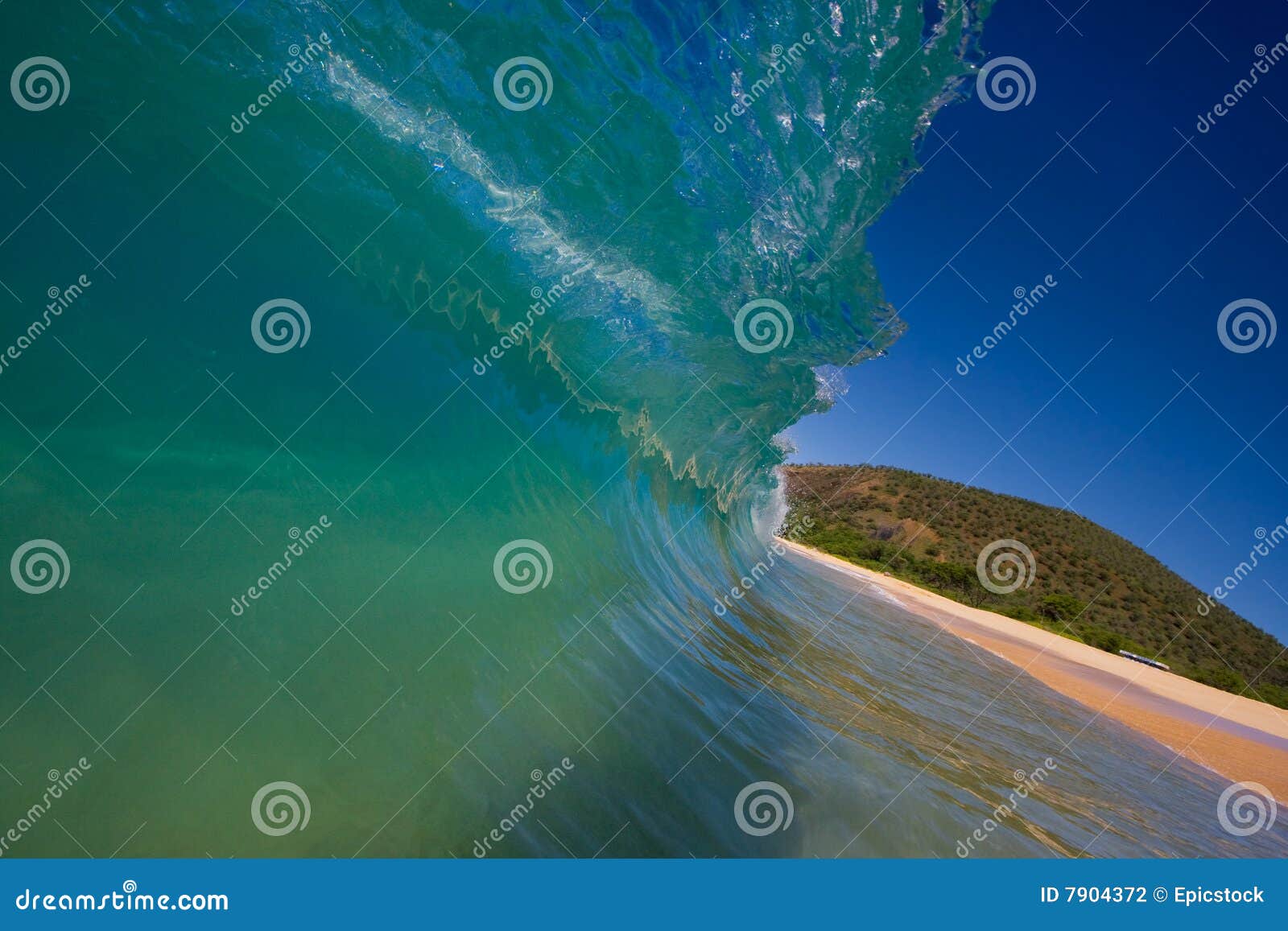 Perfect Wave Breaks on Beach Stock Photo - Image of surf, extreme: 7904372