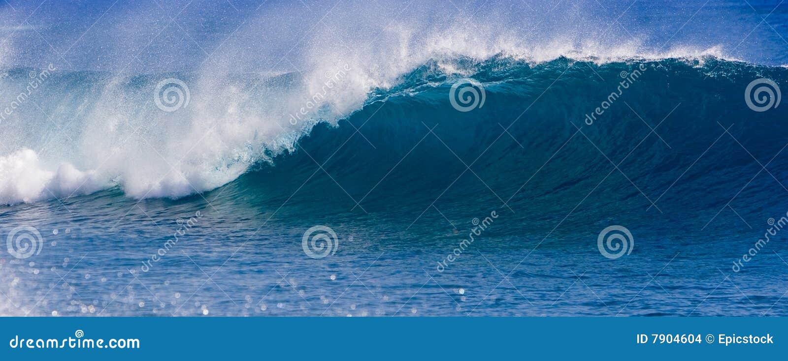 Perfect Wave for surfing stock photo. Image of ocean, surf - 7904604