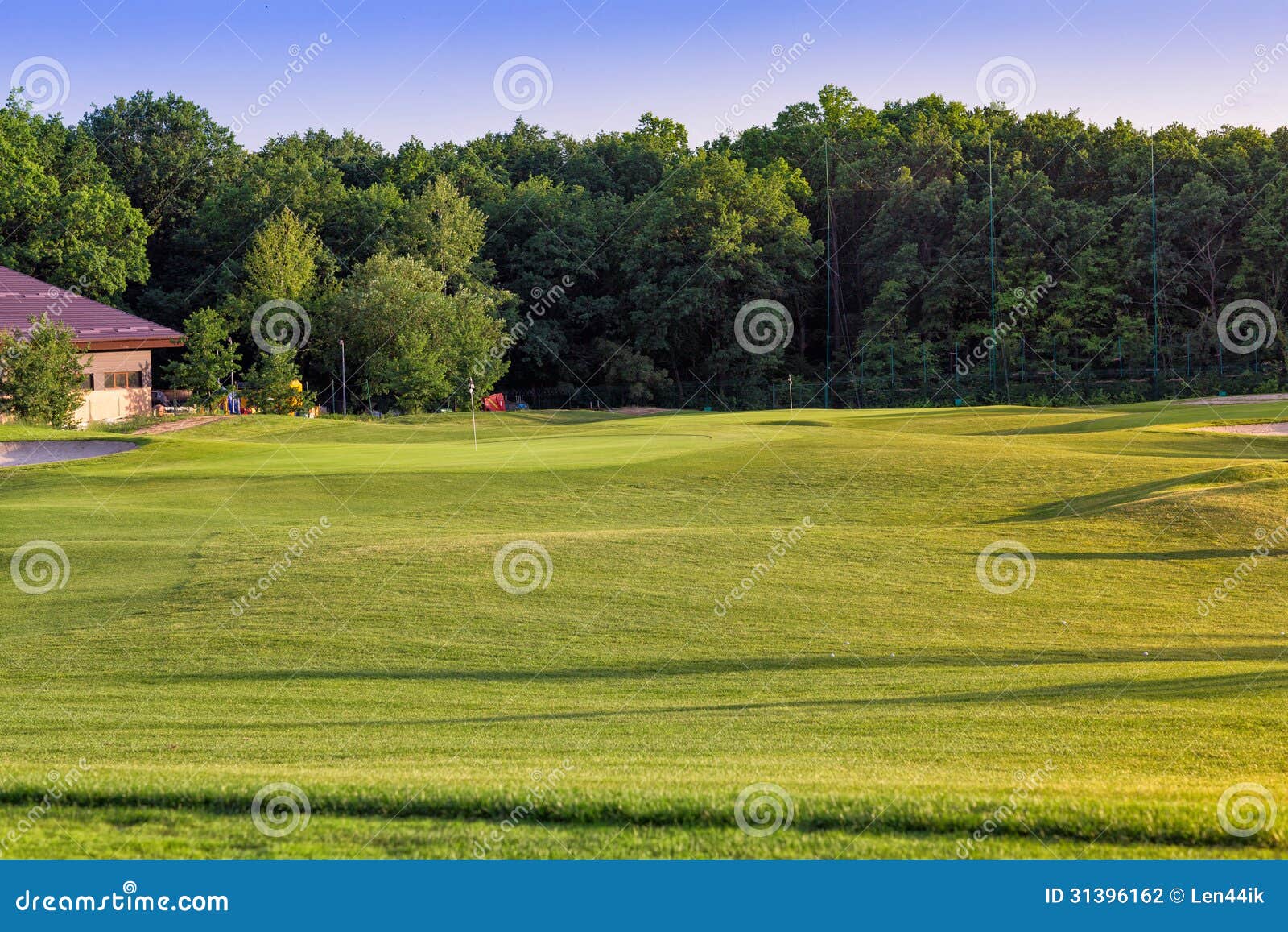 Perfect Wavy Grass on a Golf Field Stock Photo - Image of flag, golfing ...