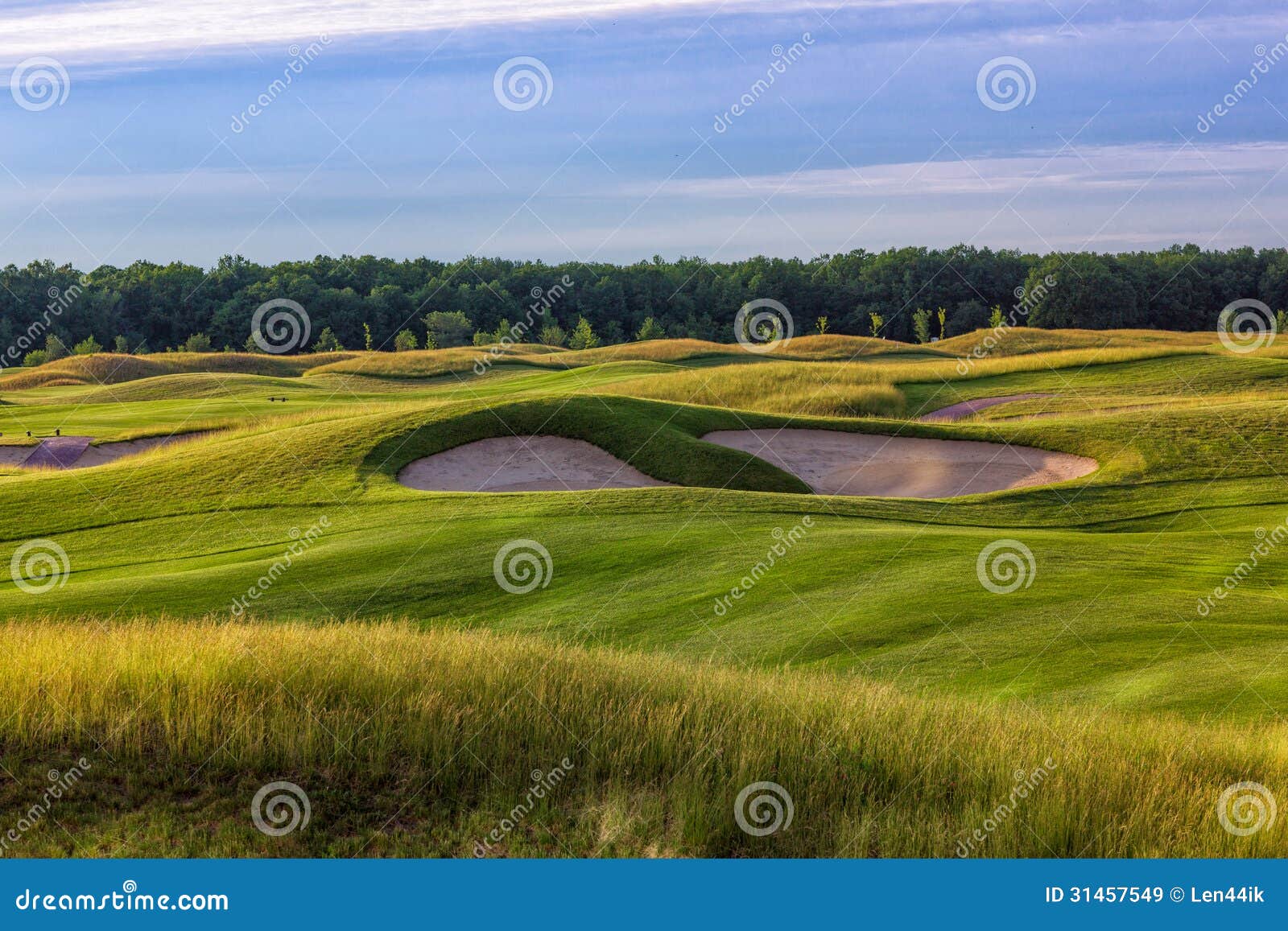 Perfect Wavy Ground with Green Grass on a Golf Field Stock Image ...