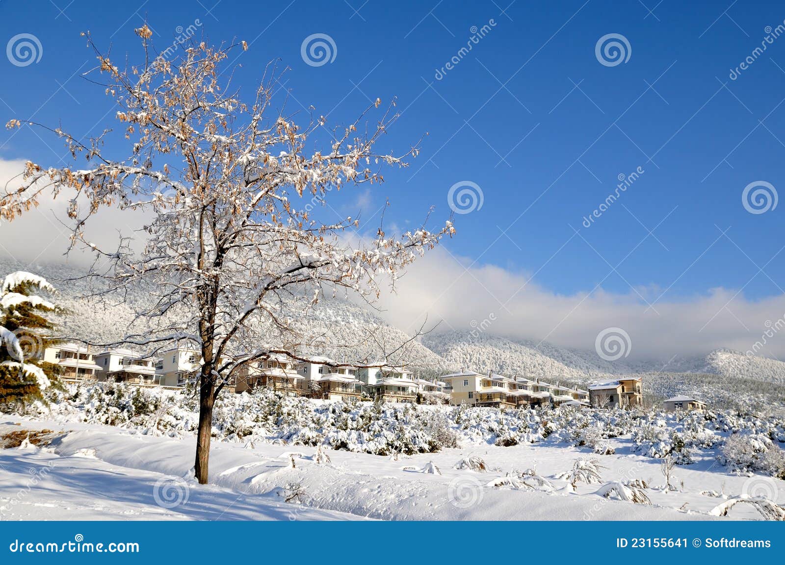 Perfect Winter Day stock image. Image of land, holiday - 23155641