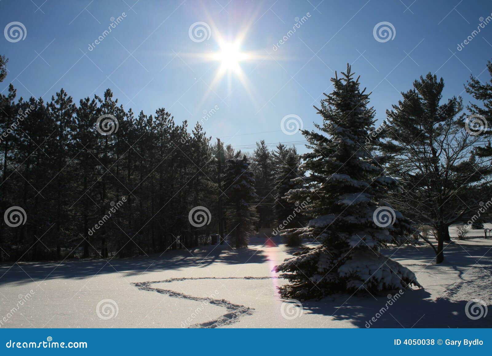 Perfect Winter Day stock photo. Image of nature, outdoors - 4050038