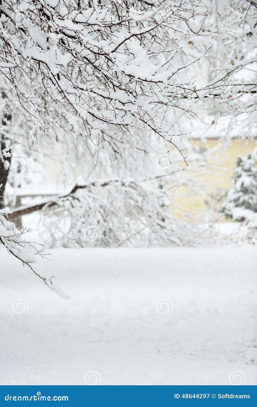 Perfect Winter Day stock image. Image of outdoor, landscape - 48644297