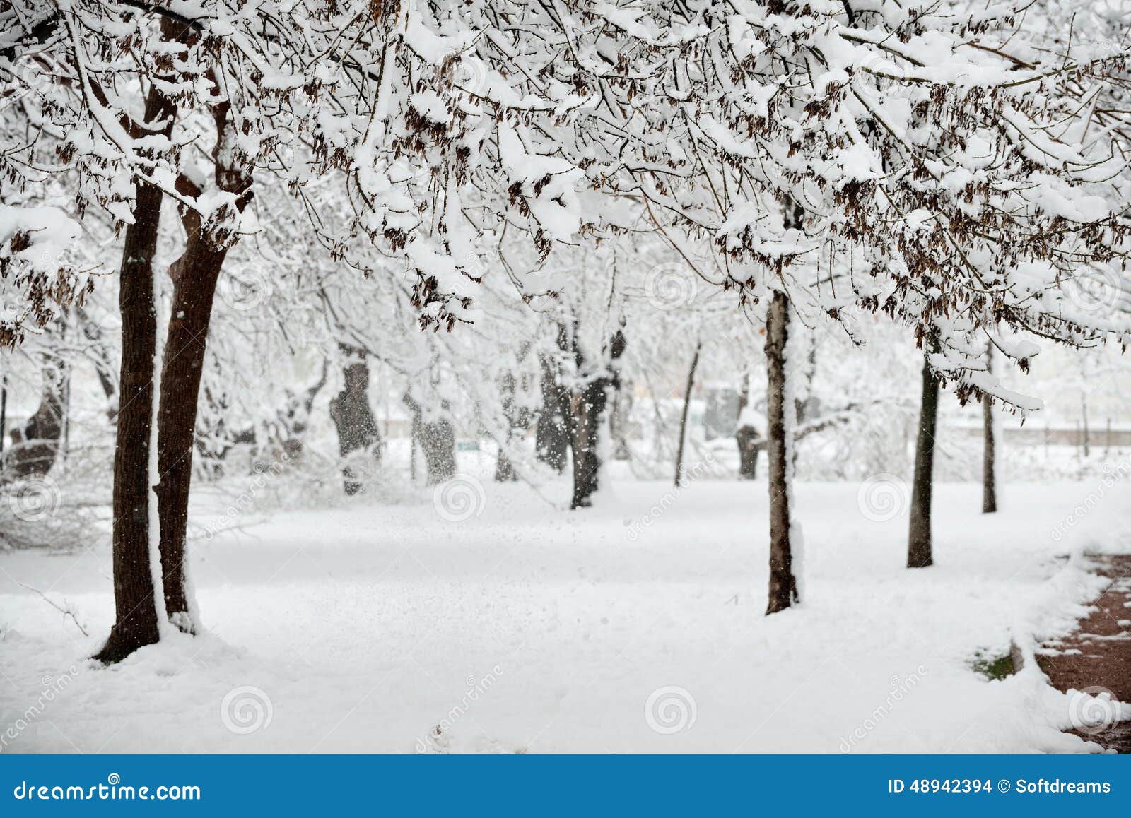 Perfect Winter Day stock photo. Image of freeze, fresh - 48942394