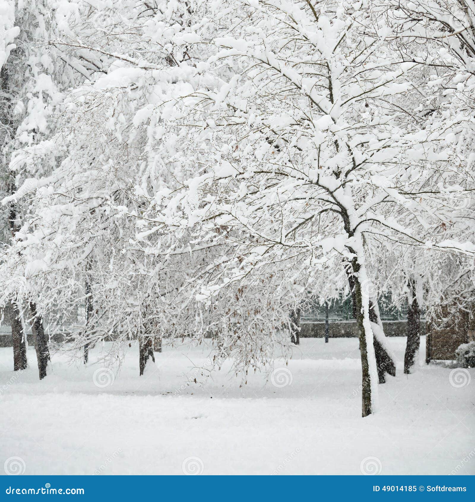 Perfect Winter Day stock image. Image of land, celebration - 49014185