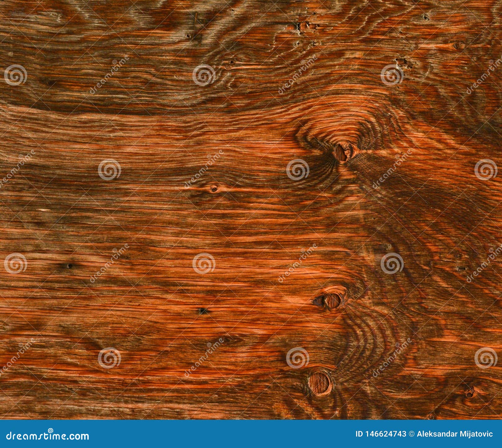 Perfect wood texture stock image. Image of pattern, grunge - 146624743