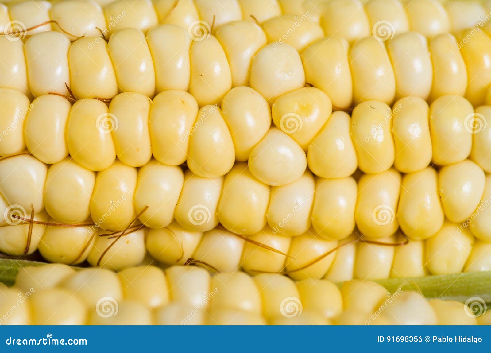 A Perfect Yellow Close Up Corncobs that are Used for Different ...