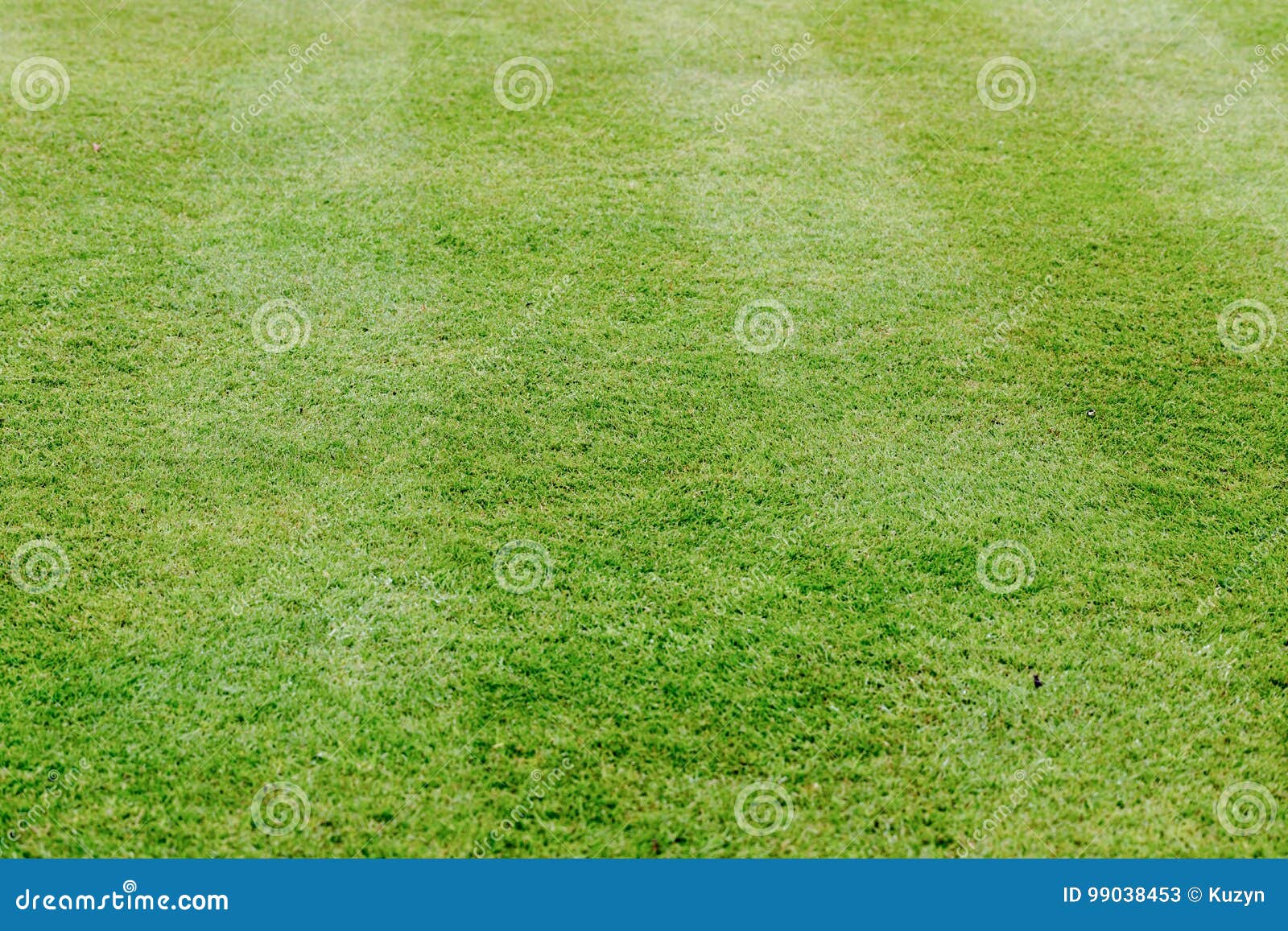Perfectly Cut Grass Greenery Background Stock Image - Image of pattern ...