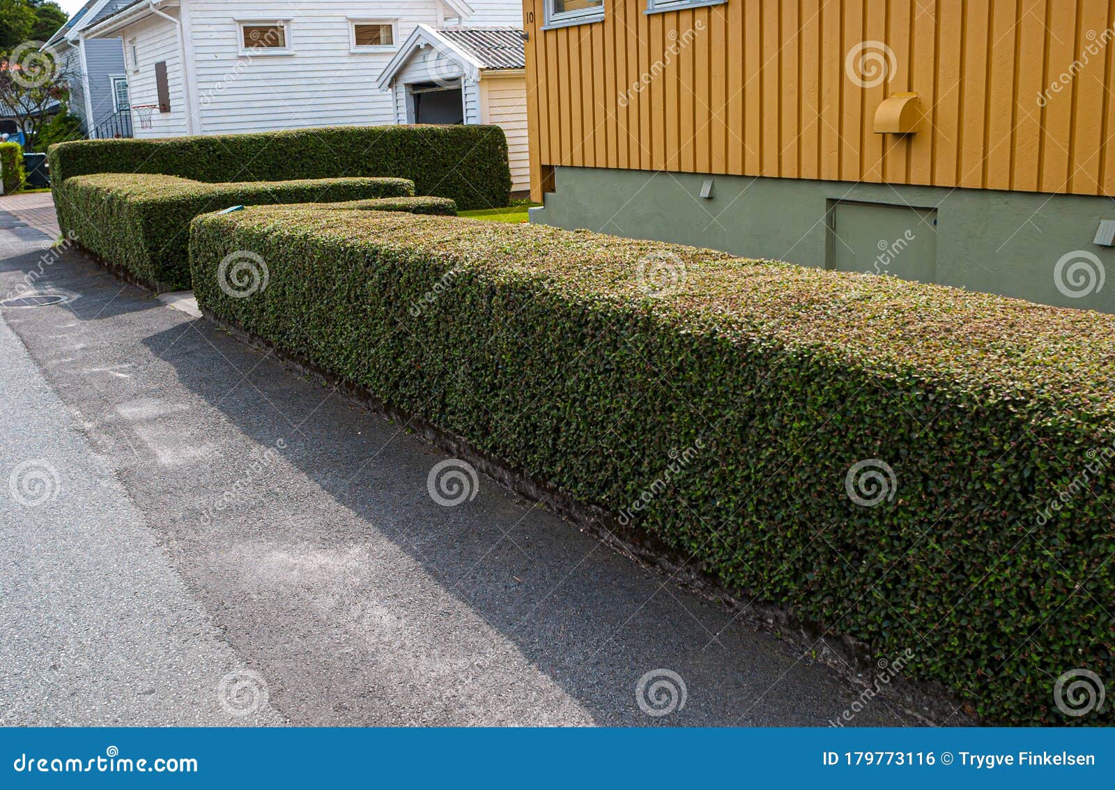 Perfectly Cut Box Hedge At Biddulph Grange Stock Photo | CartoonDealer ...