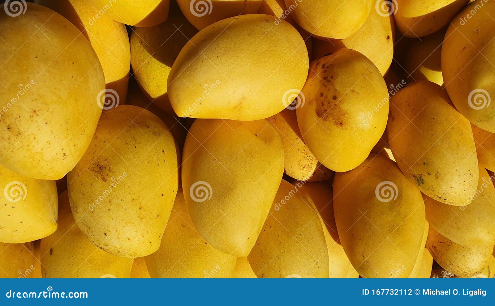 Perfectly Ripe Philippine Mango Stock Photo - Image of refreshment ...