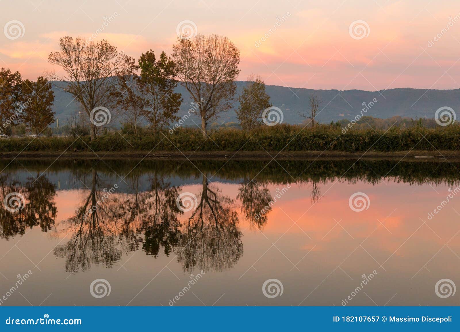A Perfectly Symmetric View of a Lake, with Trees Reflections on Water ...