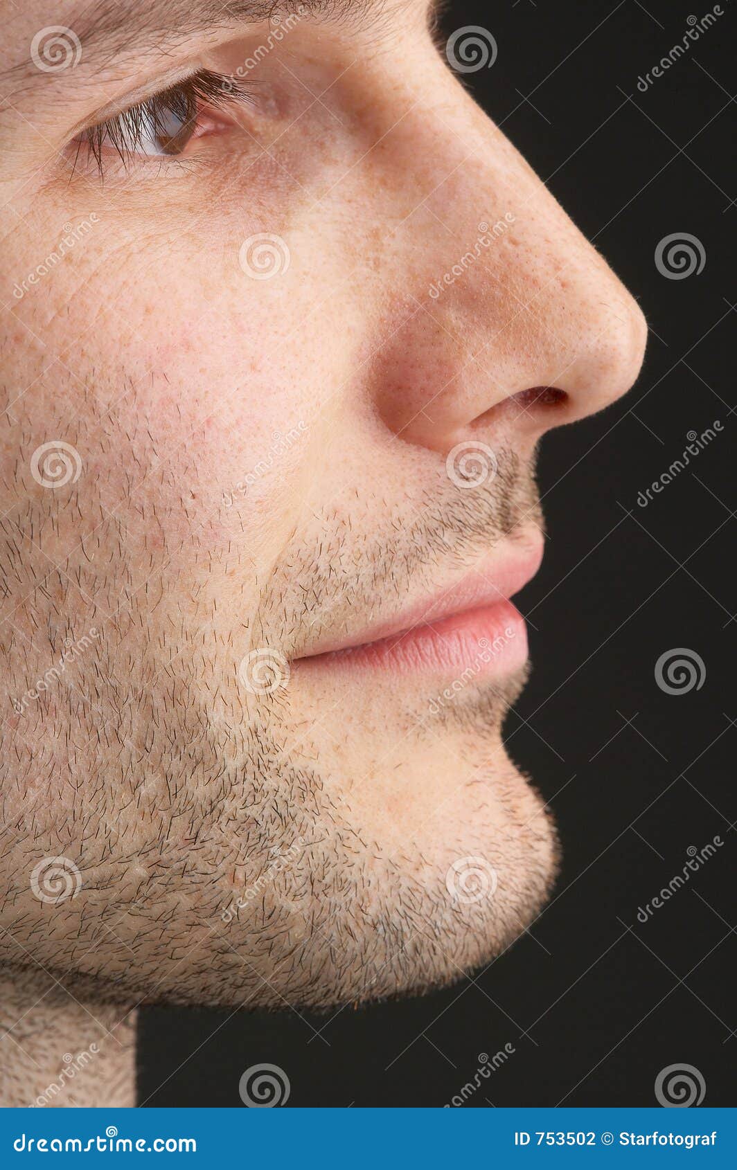 Perfil foto de archivo. Imagen de cosmético, cierre, afeitado - 753502