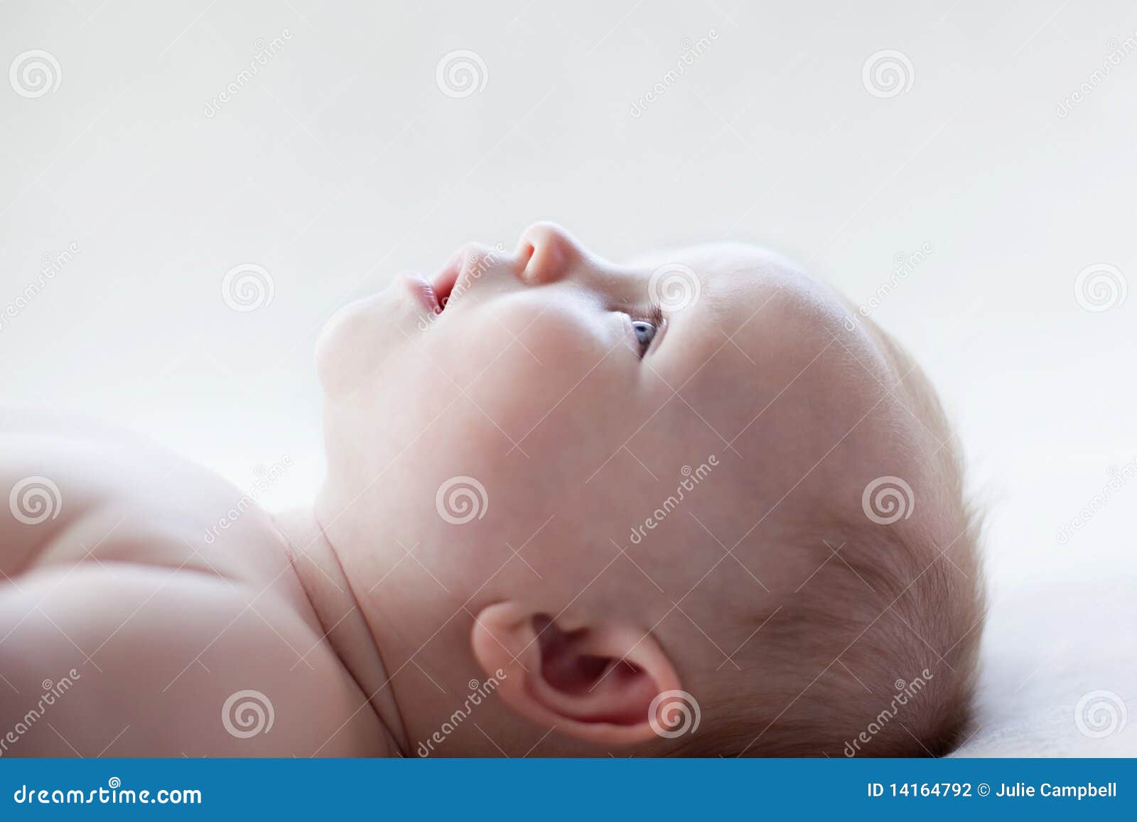 Perfil de un bebé foto de archivo. Imagen de ojos, querido - 14164792