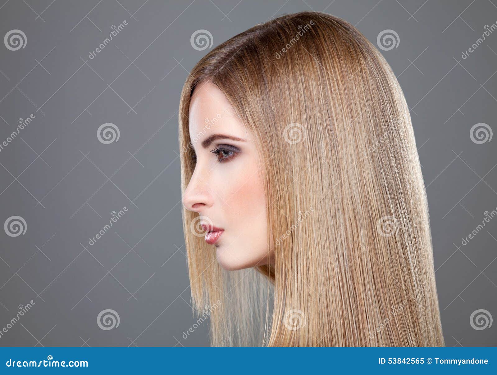 Perfil De Una Belleza Con El Pelo Recto Largo Imagen de archivo ...