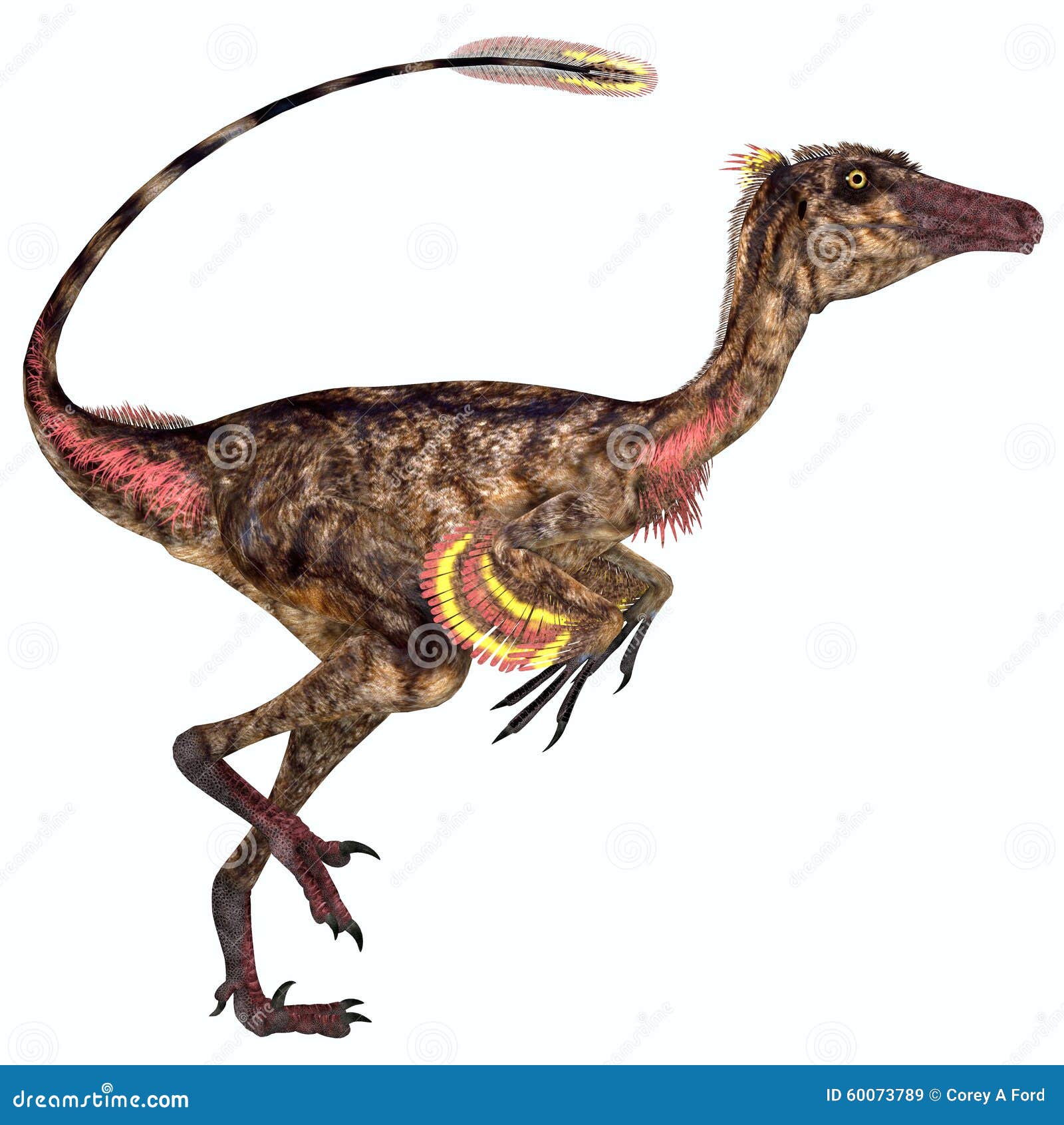 Perfil Del Dinosaurio De Troodon Stock de ilustración - Ilustración de norte, temas: 60073789