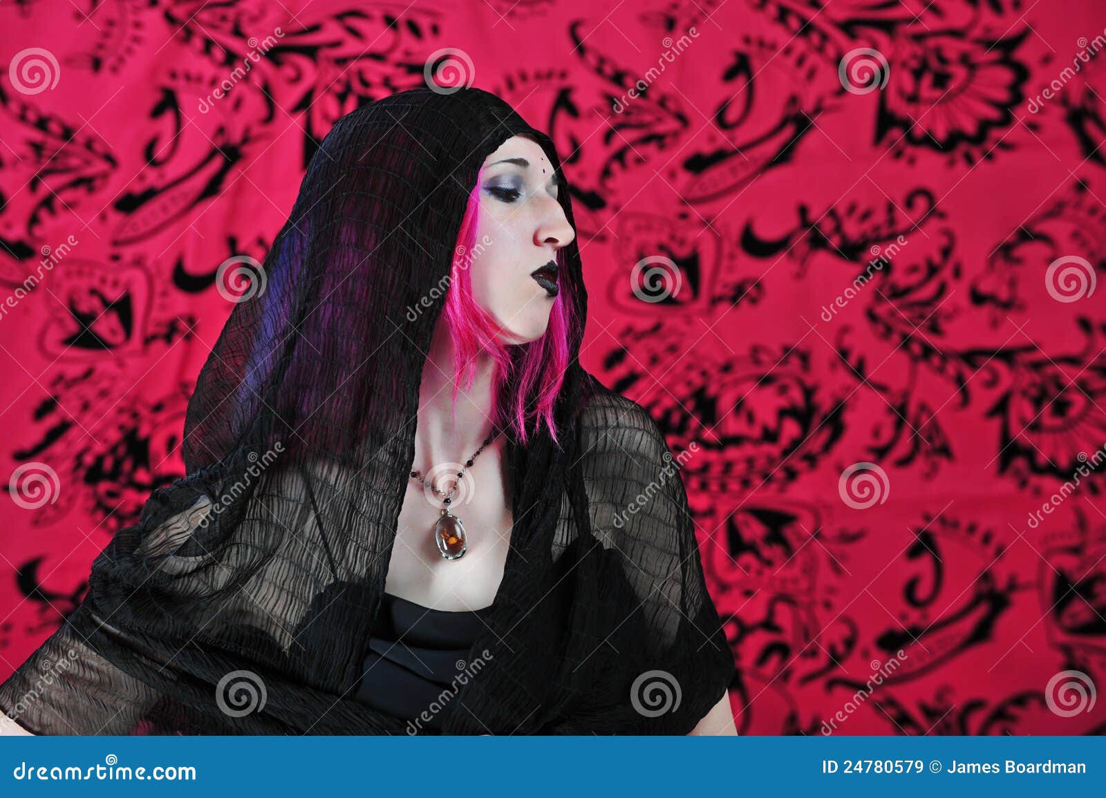 Perfil del goth imagen de archivo. Imagen de punky, pulsera - 24780579