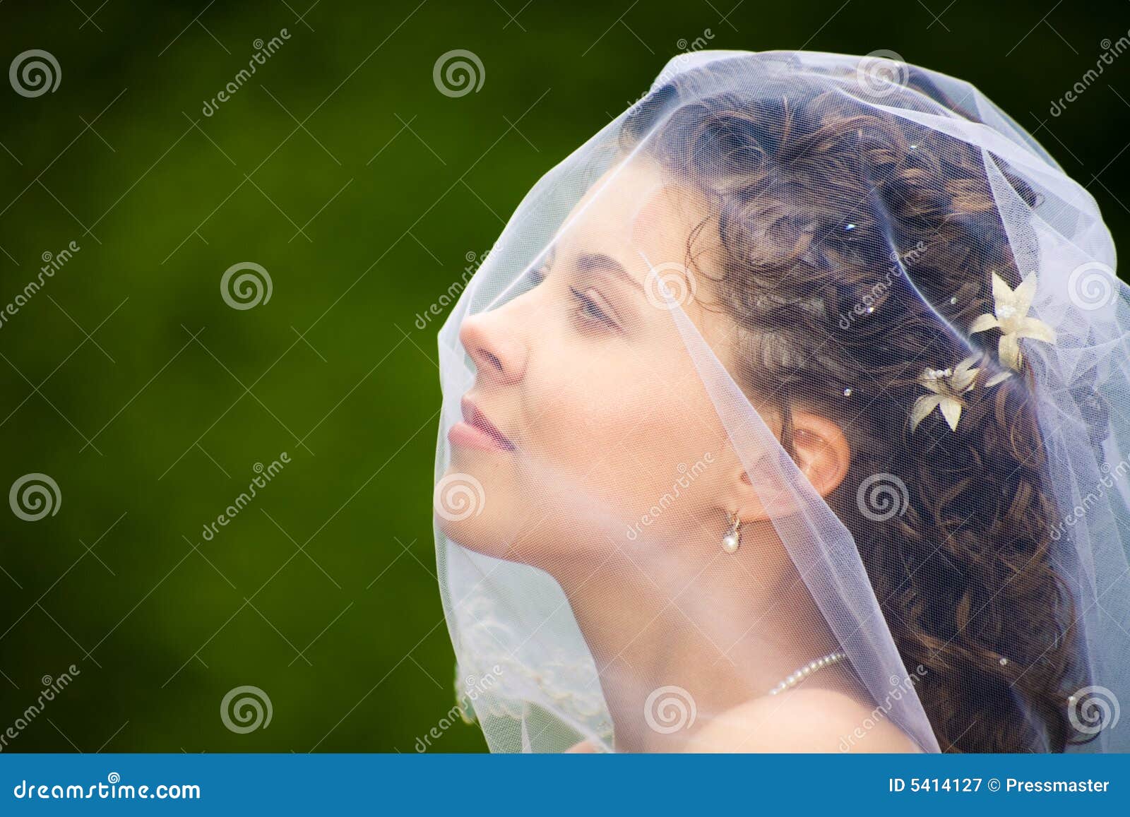 Perfil del prometido imagen de archivo. Imagen de hermoso - 5414127