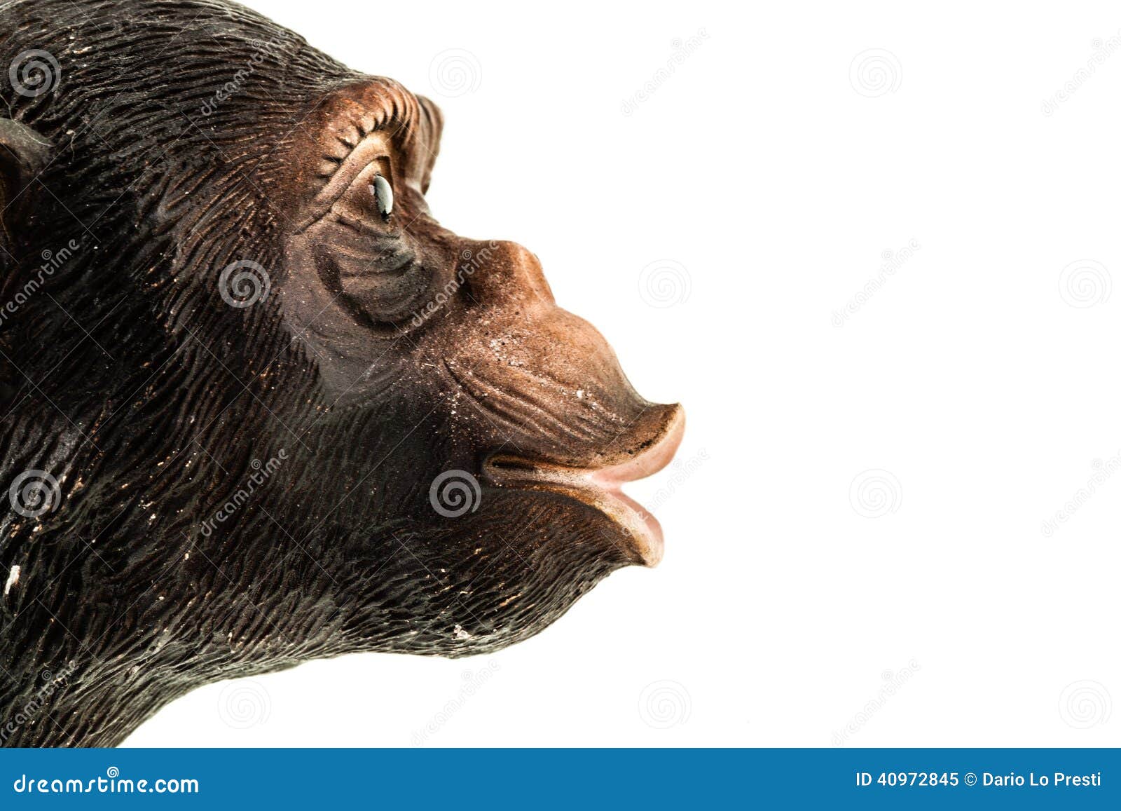 Perfil do macaco imagem de stock. Imagem de primata, gorila - 40972845