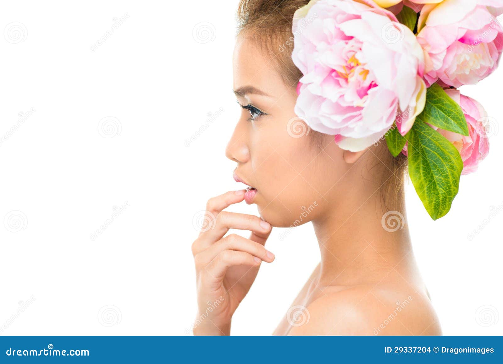 Perfil perfecto foto de archivo. Imagen de peinado, perfil - 29337204