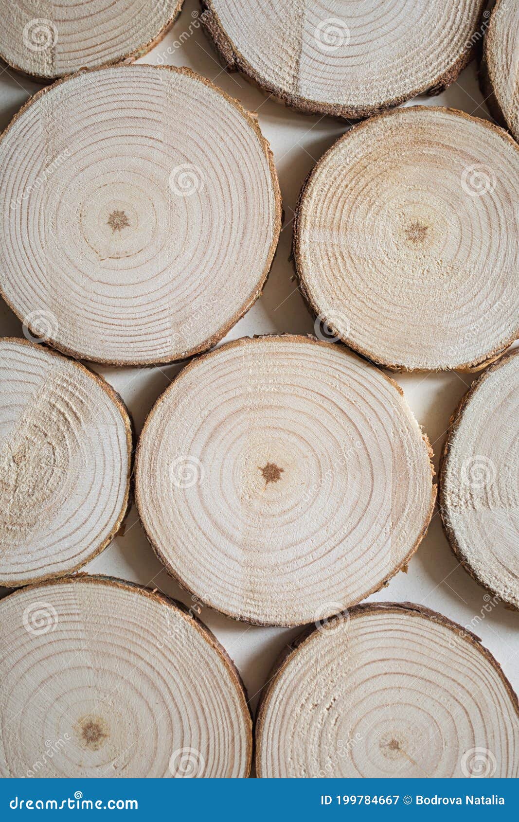 Perfis radiais de madeira imagem de stock. Imagem de natal - 199784667
